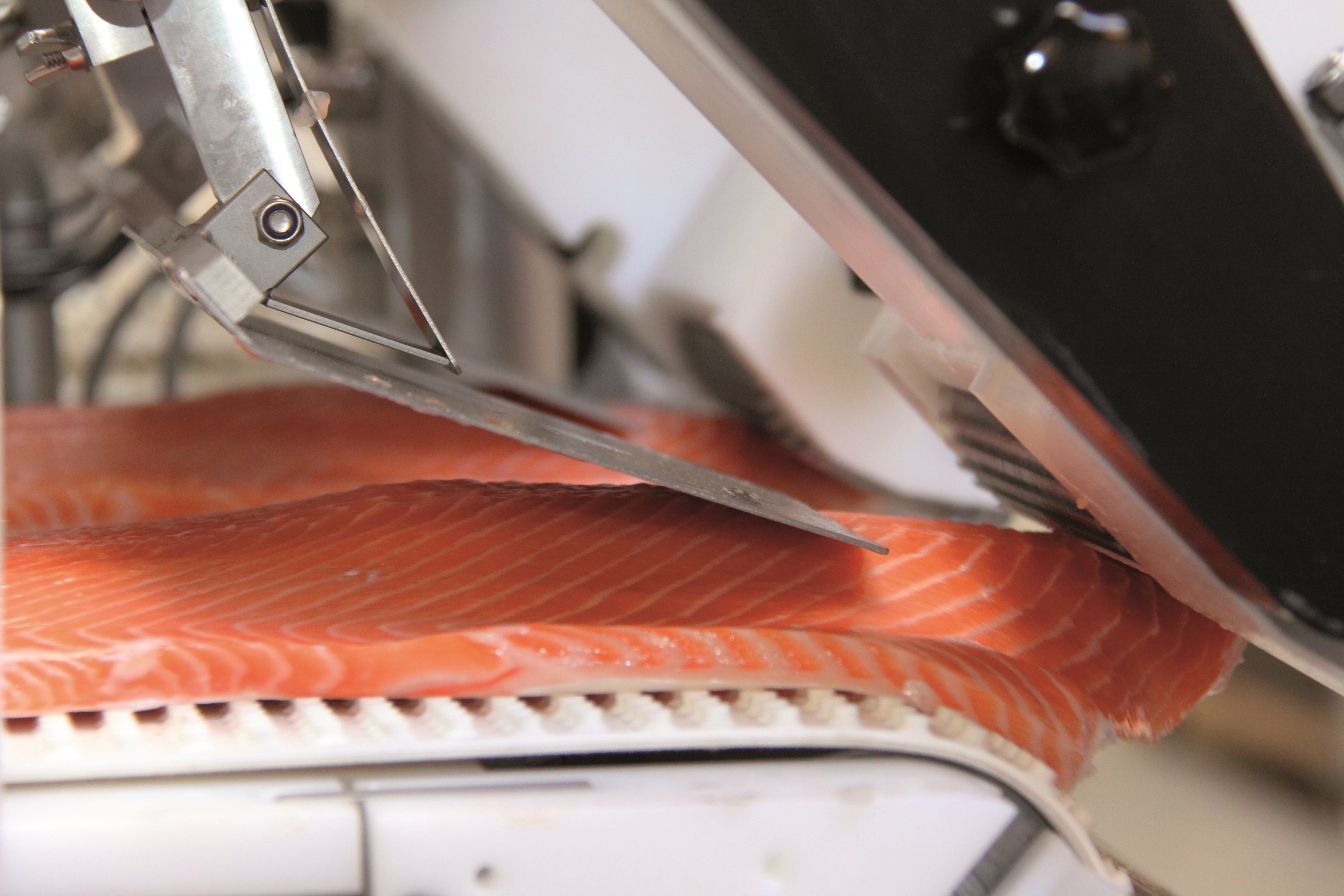 Pinboning Solutions for the Salmon Industry | Marel