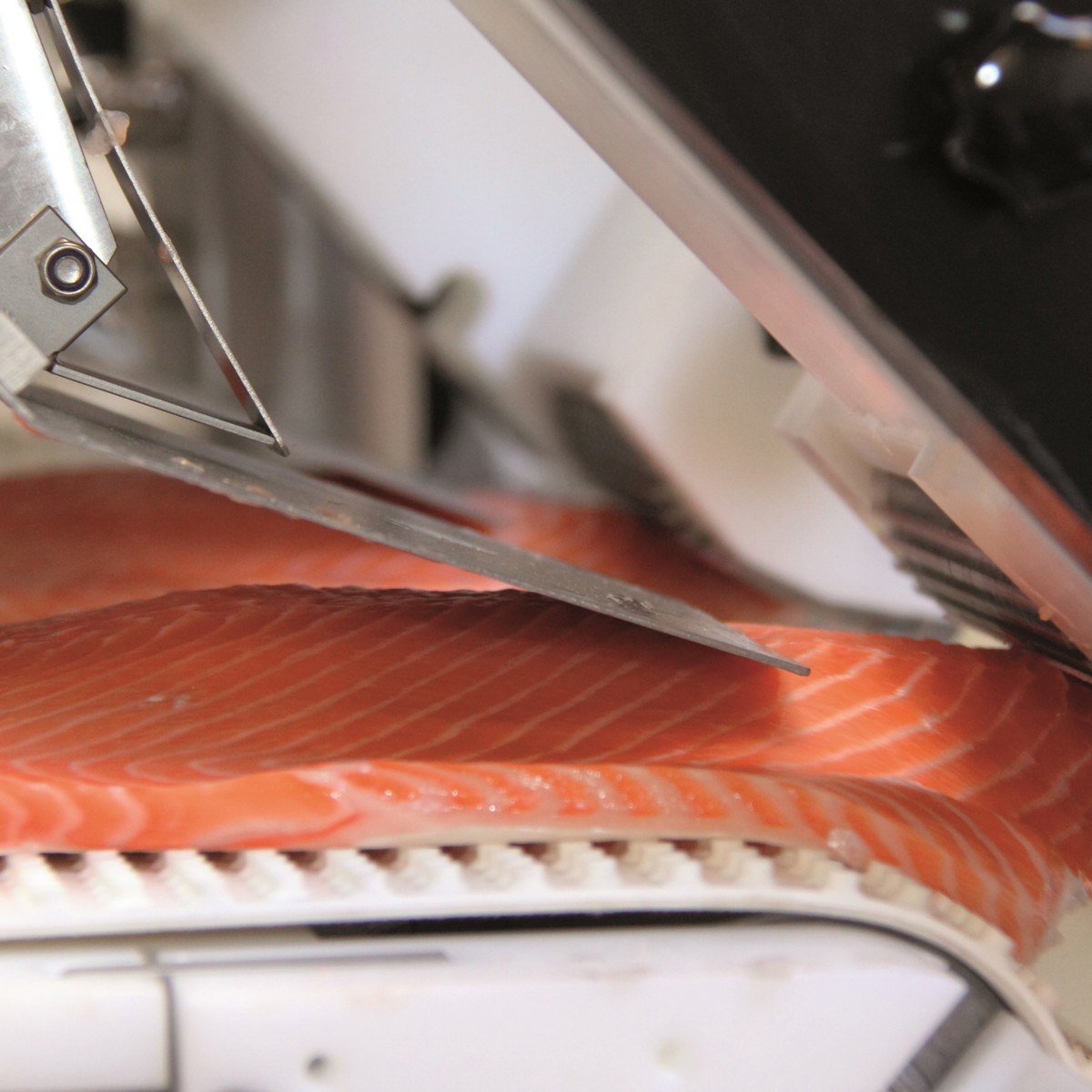 Pinboning Solutions for the Salmon Industry | Marel