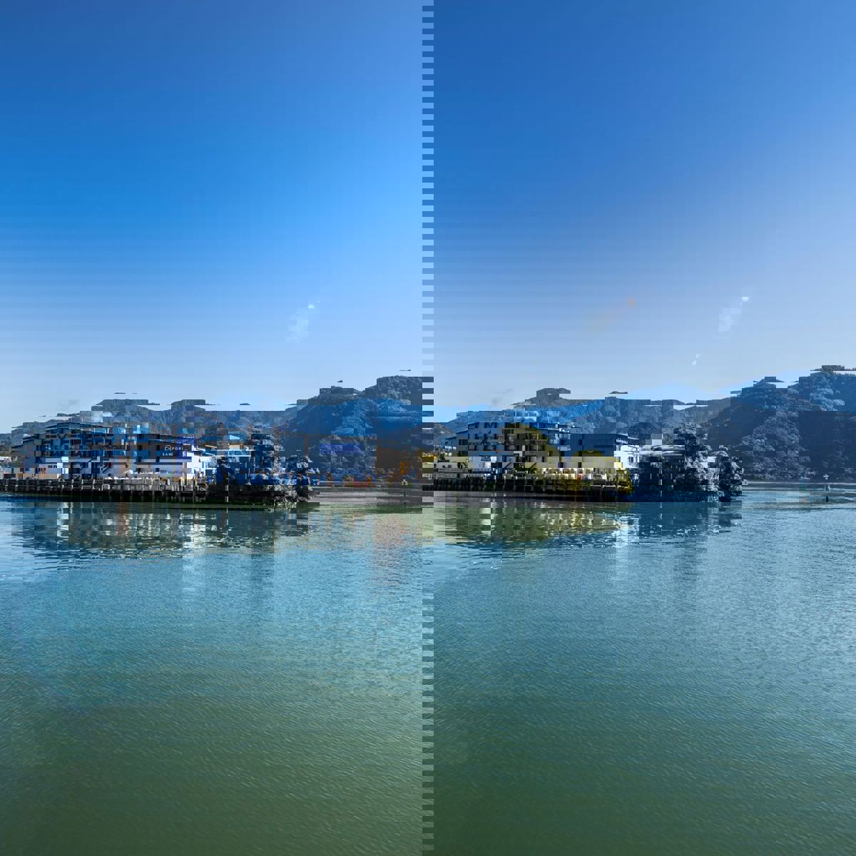 Sanford Ltd. strengthens its digital capabilities with Innova | Marel