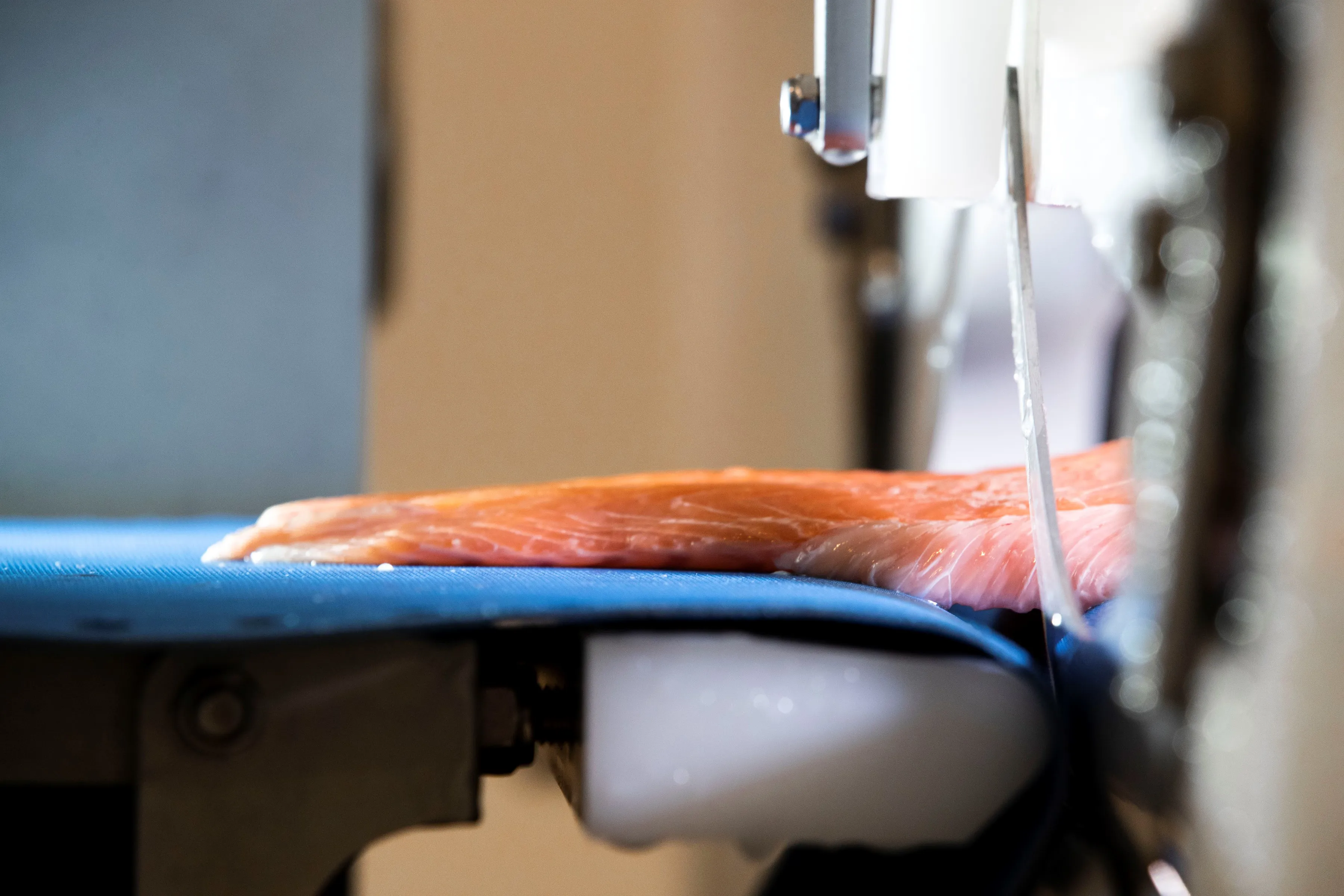 FleXicut Salmon | Marel