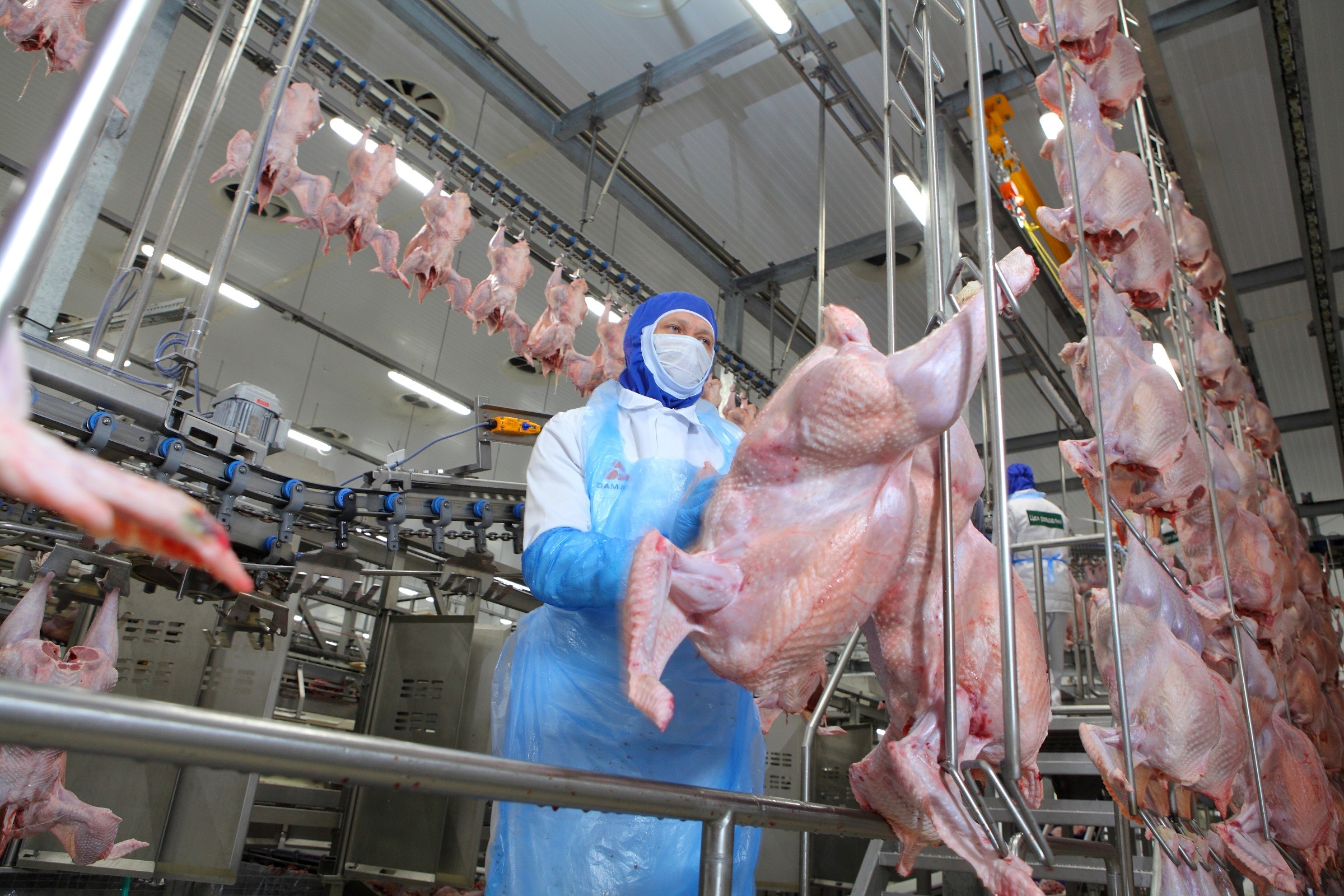 Turkey chilling solutions | Marel