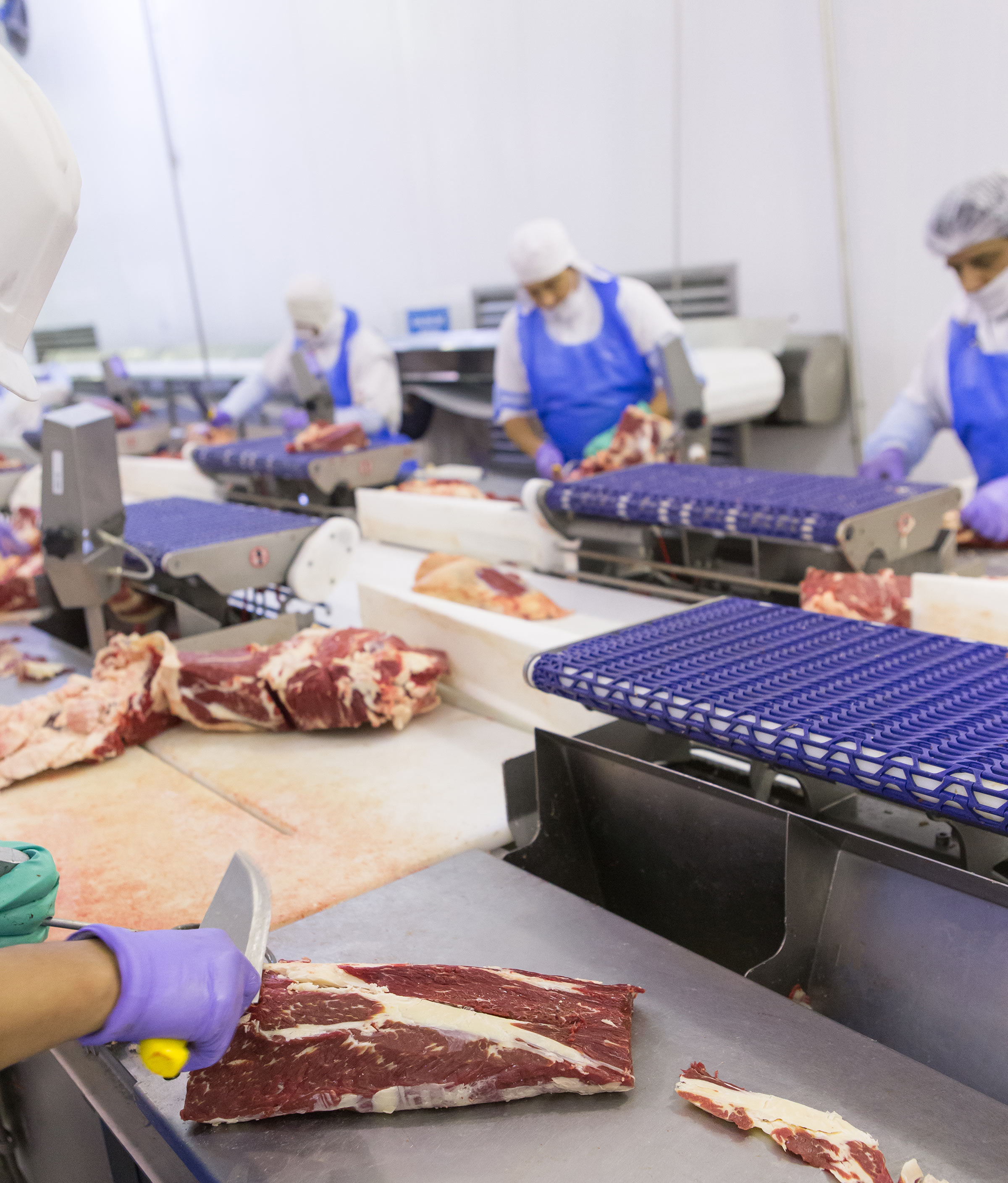 TecnoCarne 2024 | Marel