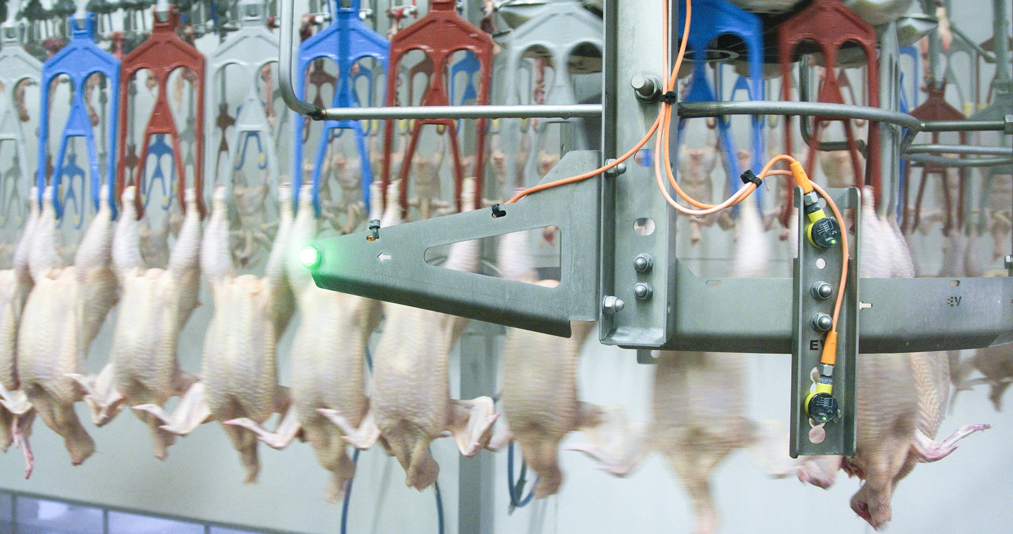 The importance of data capture | Marel