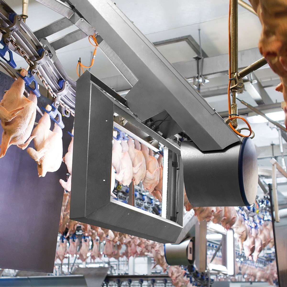 Clasificación visual | Marel