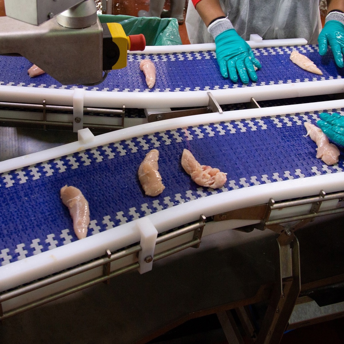 Automated Tender Line | Marel