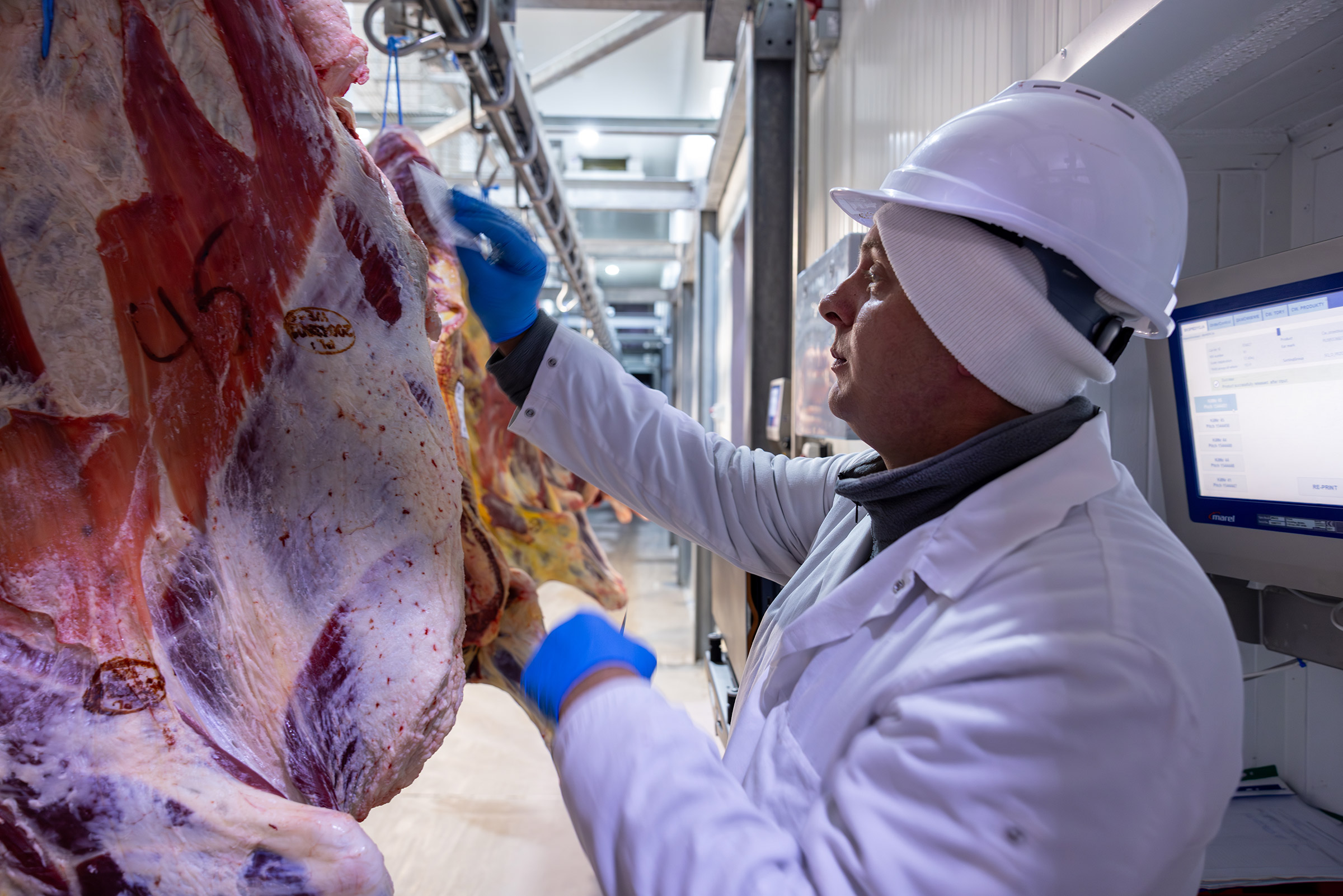 Marel Software User Zone | Home