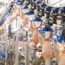 Marel | Food processing solutions