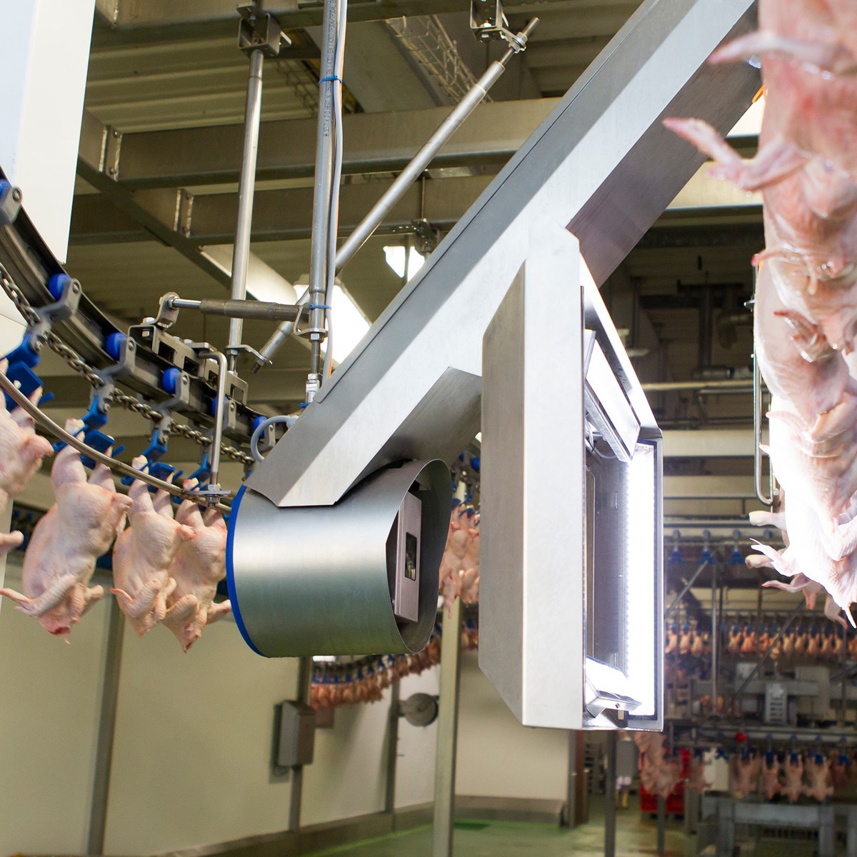 Clasificación visual | Marel