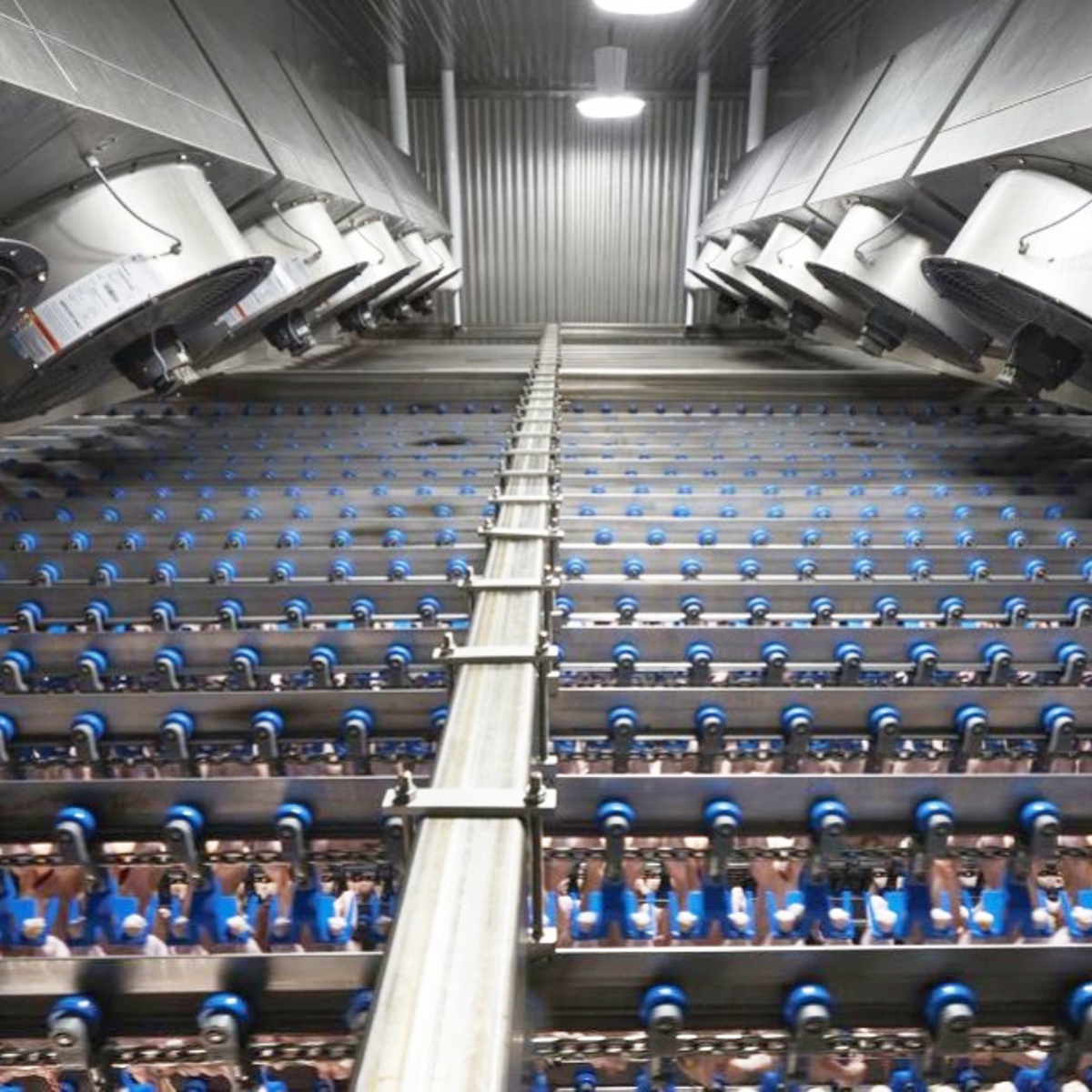 De Stork PMT a JBT Marel: la autoridad original desde el principio | Marel