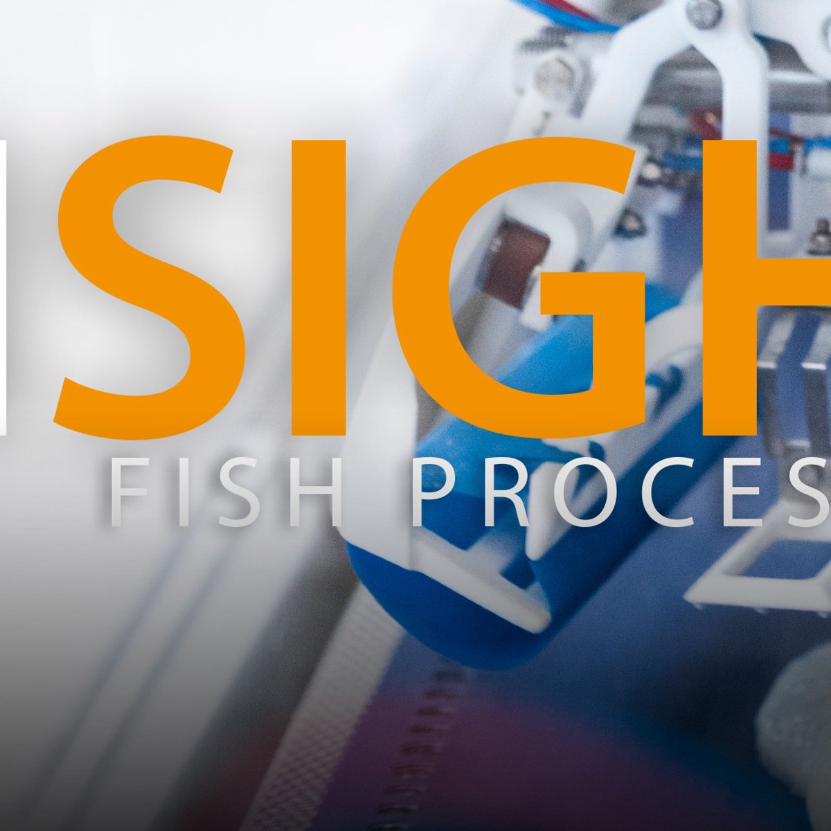 New edition of Insight Fish Processing | Marel