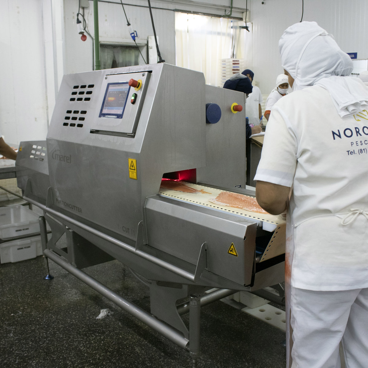 Automation at Noronha Pescados | Marel