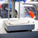 Marel | Food processing solutions