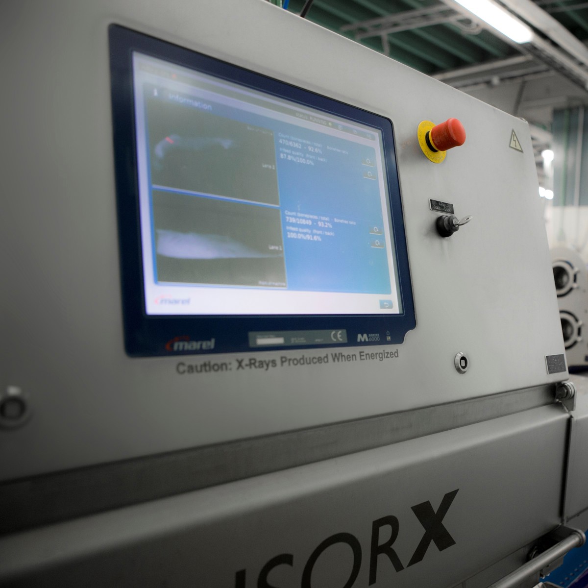 Inspection Systems for the Seafood Industry | Marel