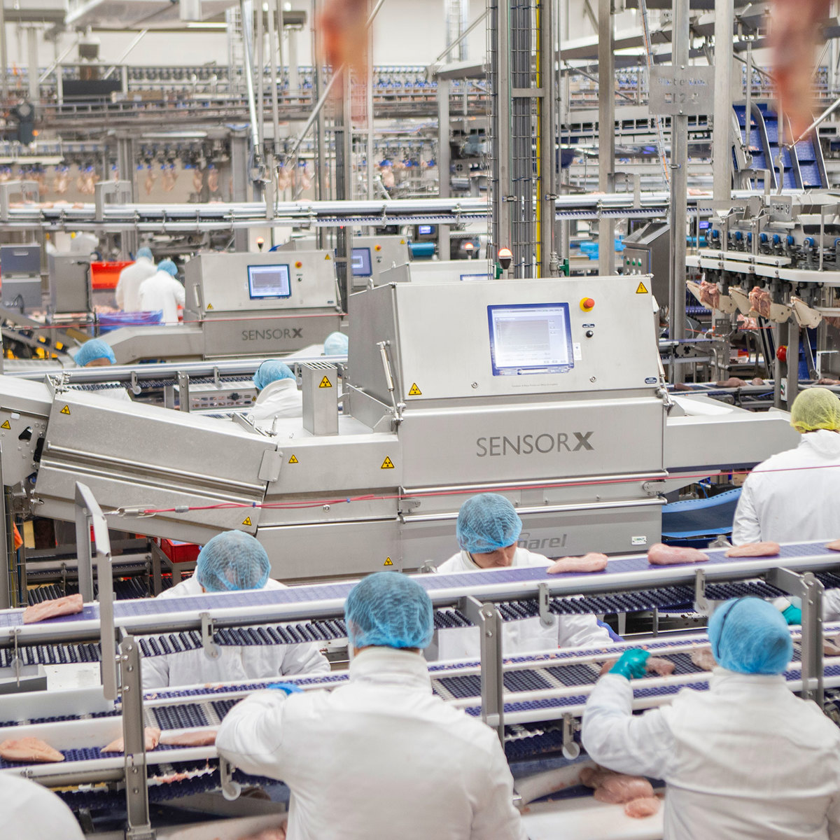 SensorX redefines smart standards in bone detection | Marel