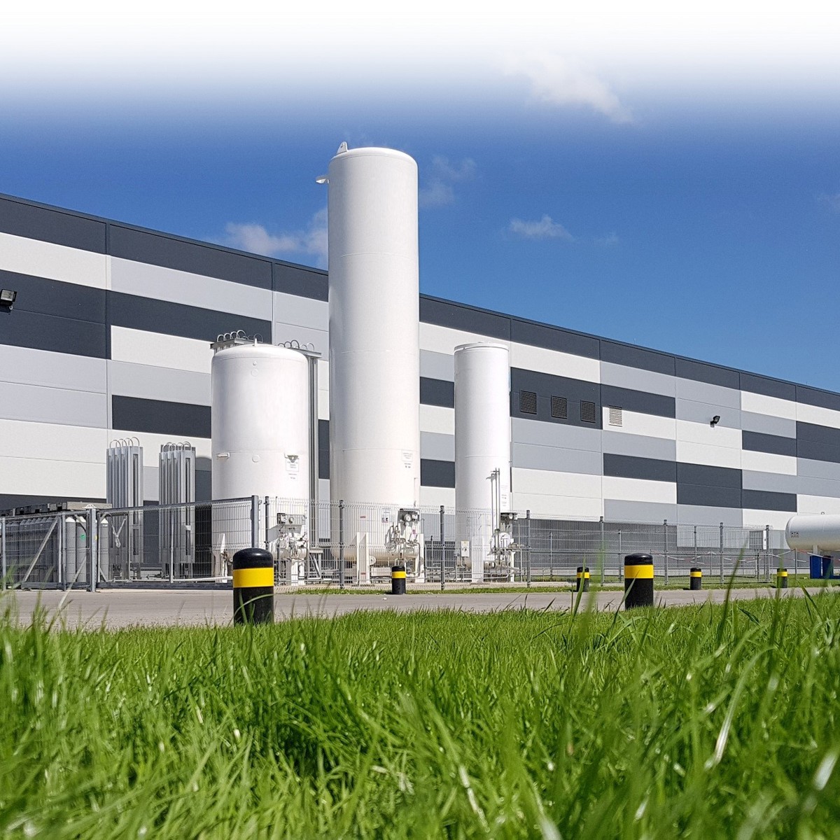 Master Good - O crescimento está no nosso sangue | Marel