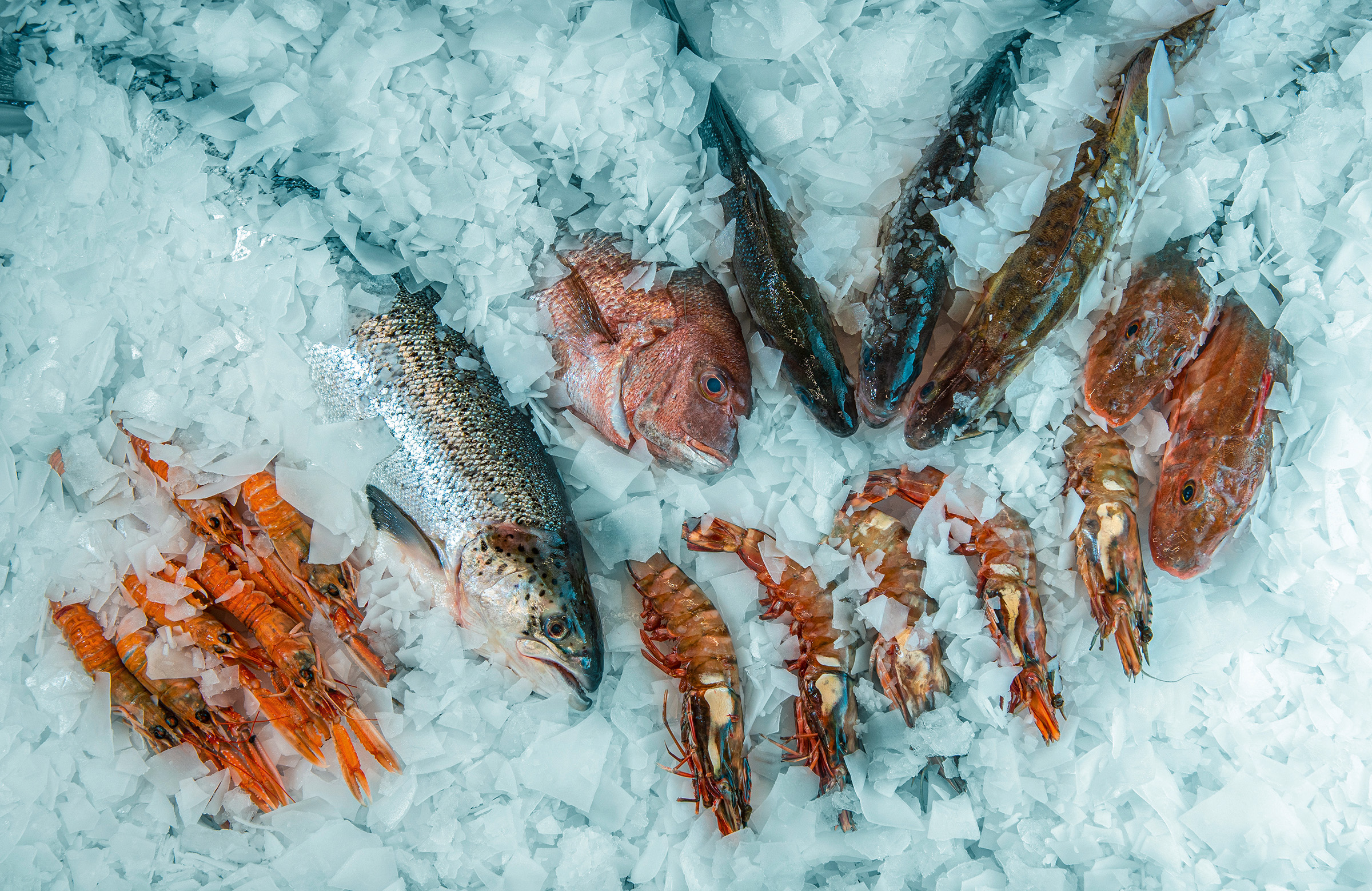 Seafood primary processing | Marel