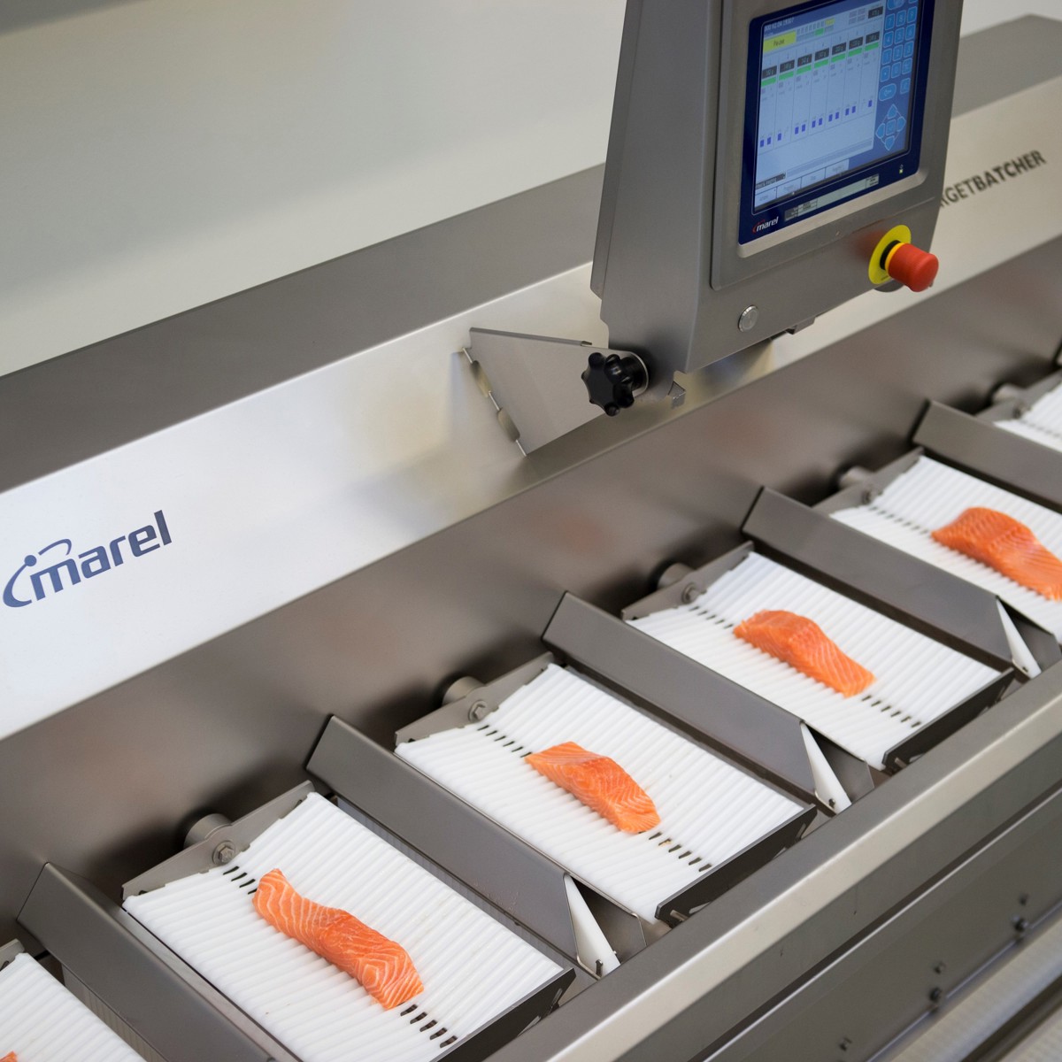 Grading & Batching Systems for the Salmon Industry | Marel