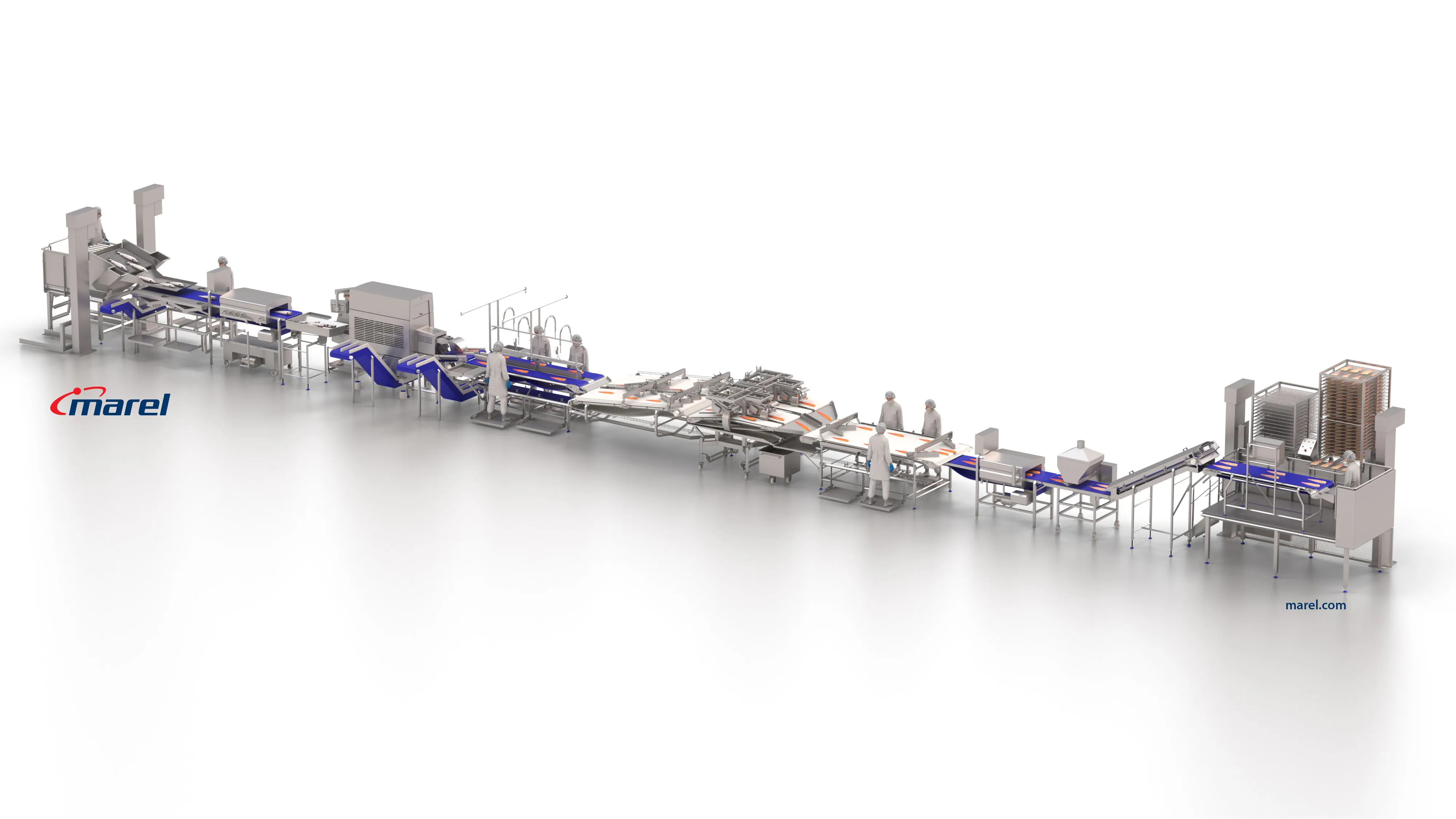 Salmon filleting | Marel