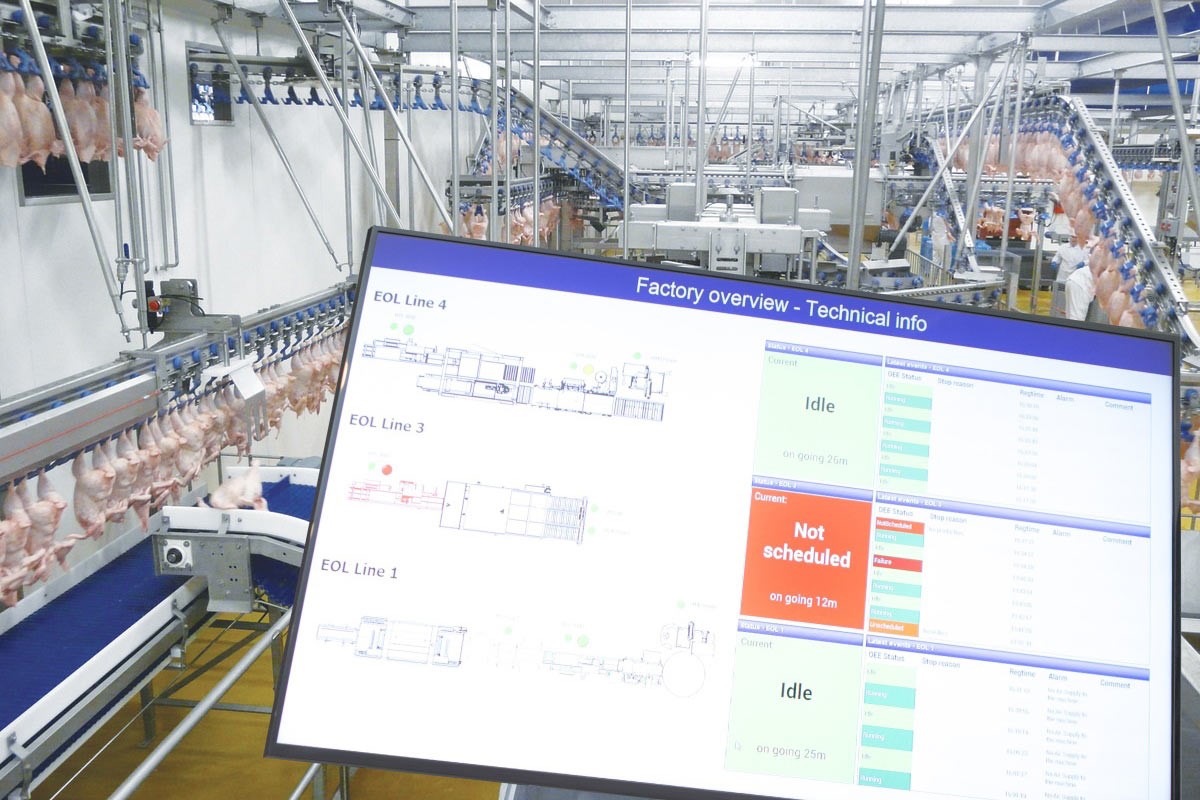 Supporting solutions for broiler processing | Marel