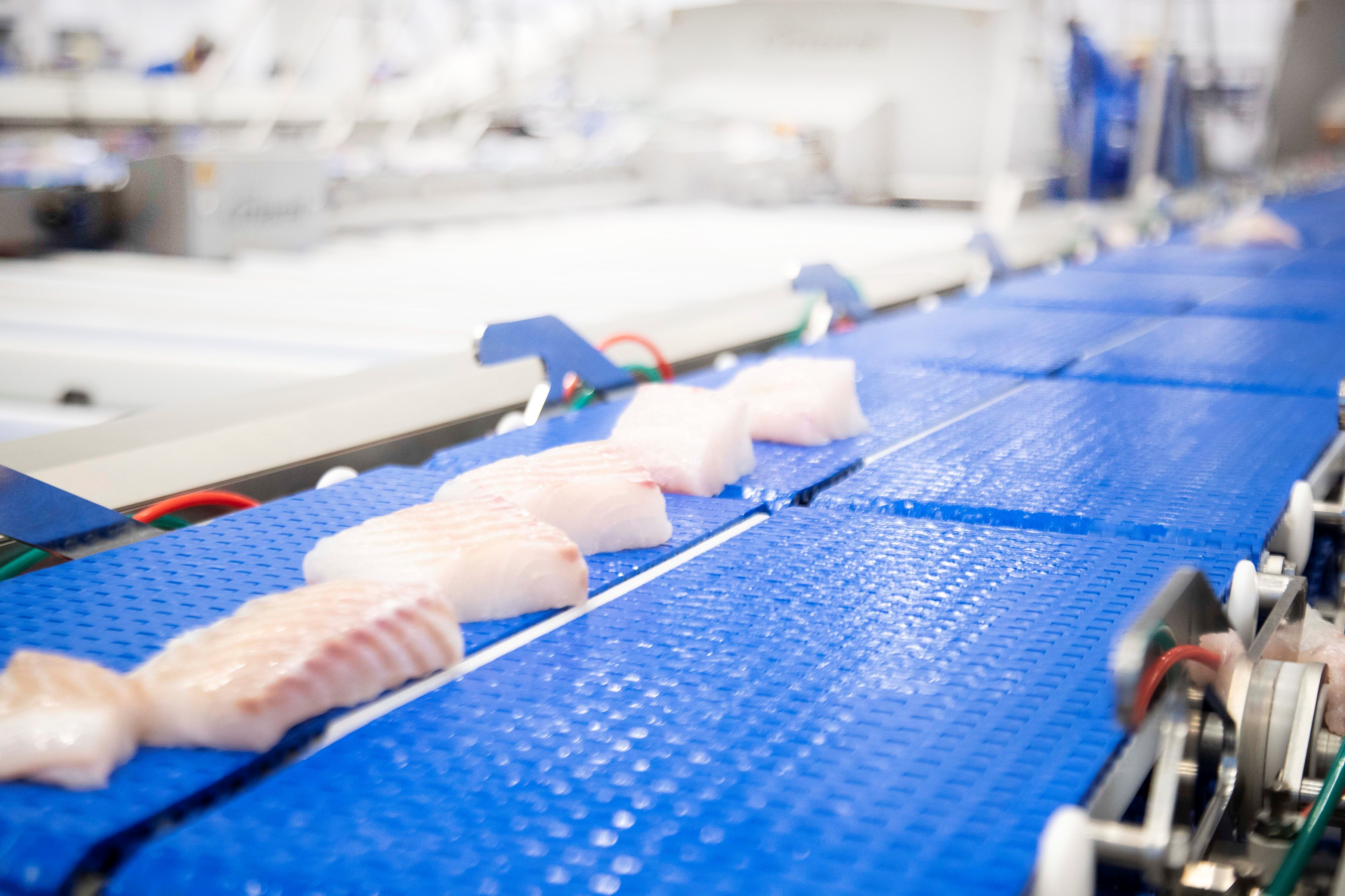 Whitefish processing solutions | Marel