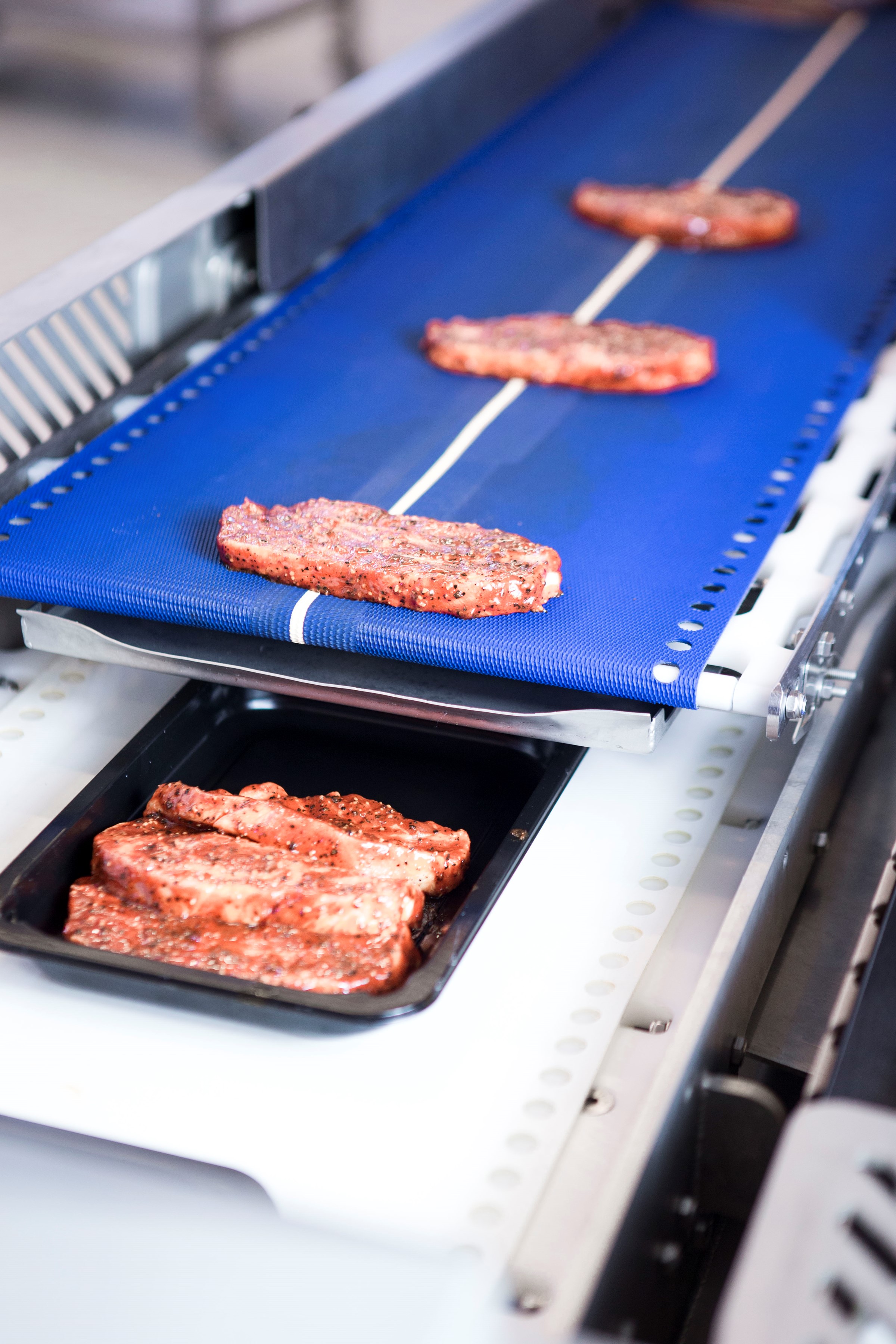 Case-ready Marinated Products Line | Marel