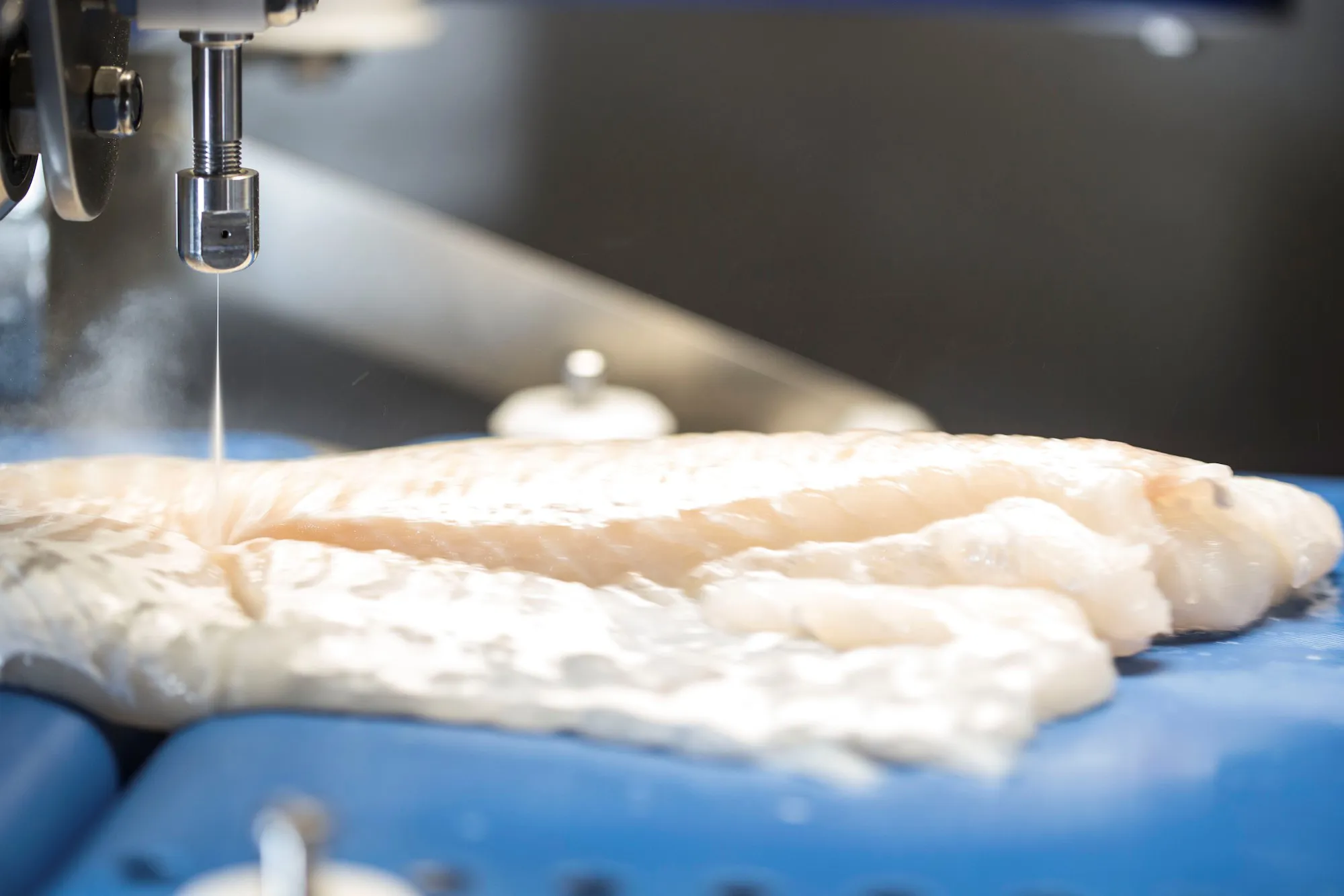 FleXicut pinbone removal and portioning | Marel