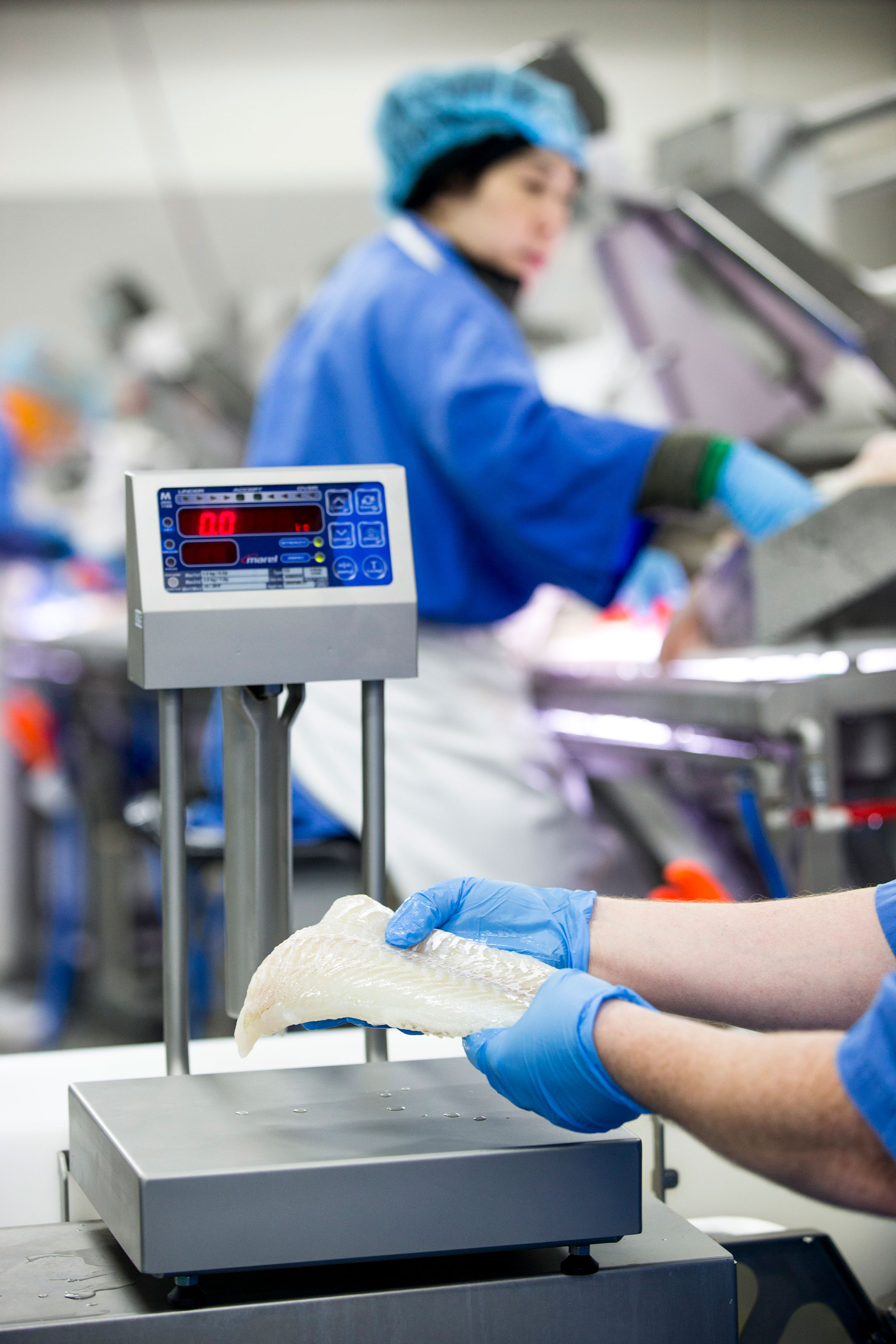 Seafood Processing Global 2024 | Marel