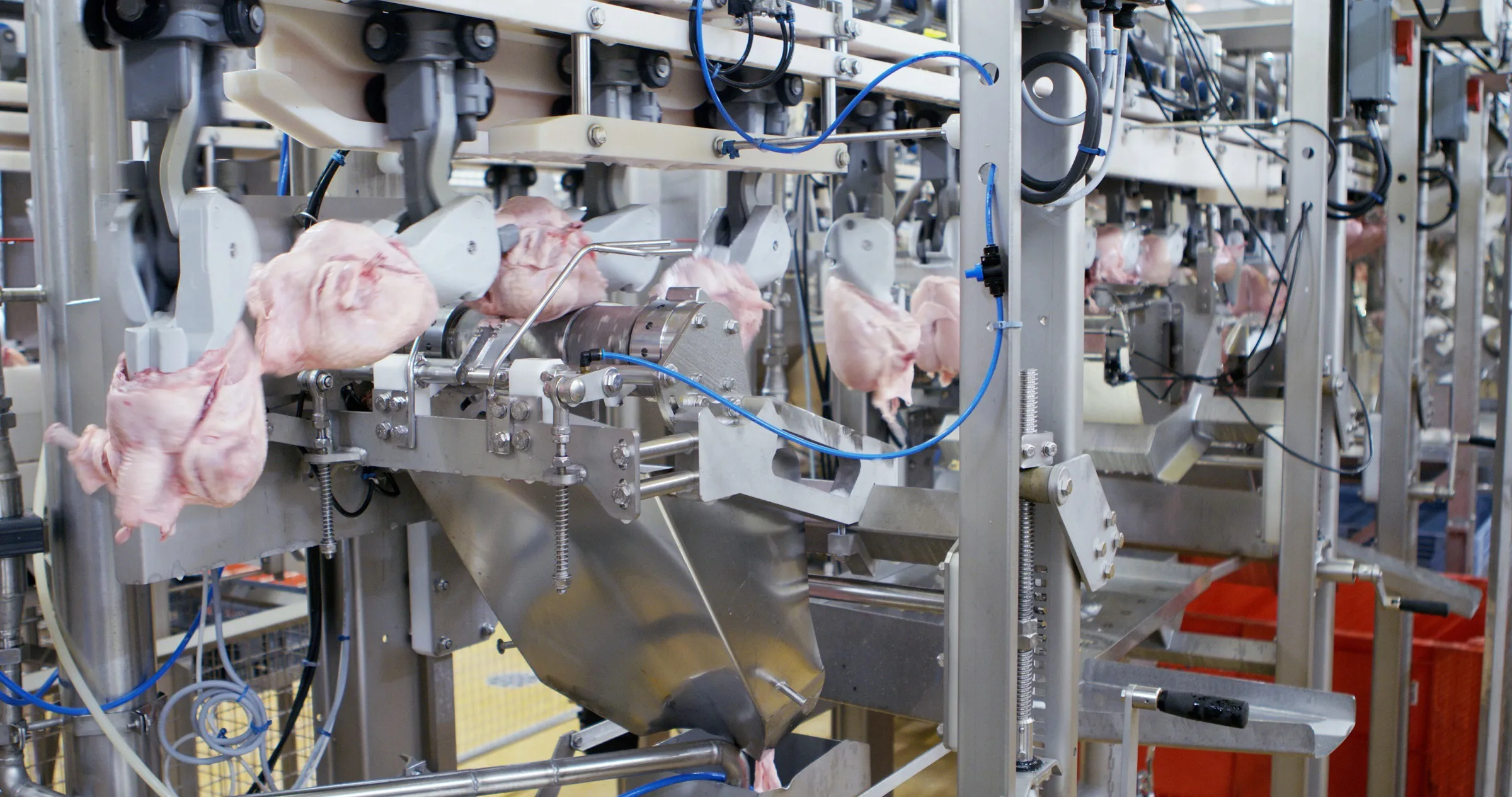 FHF FlexControl front half deboning system for poultry | Marel