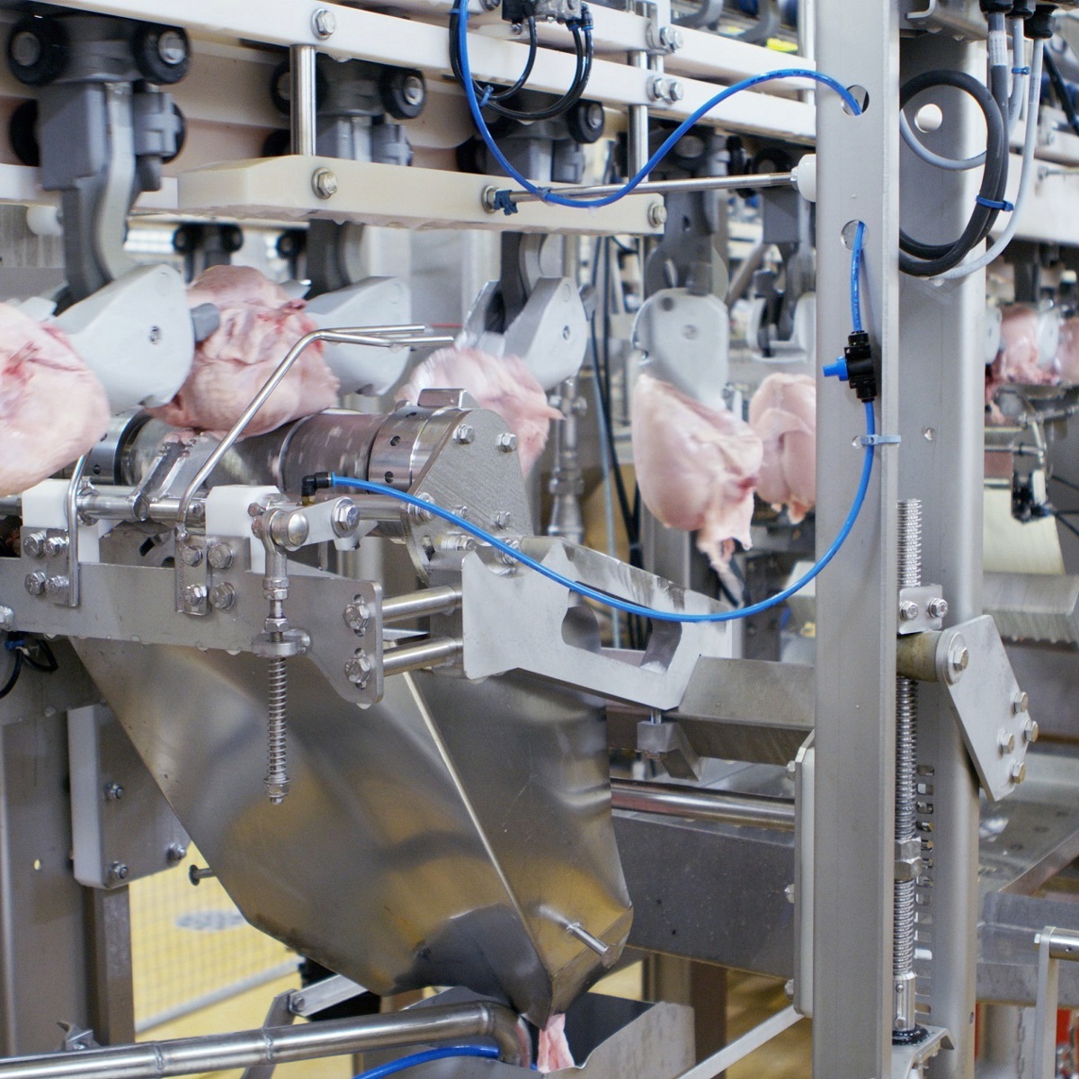 FHF FlexControl front half deboning system for poultry | Marel