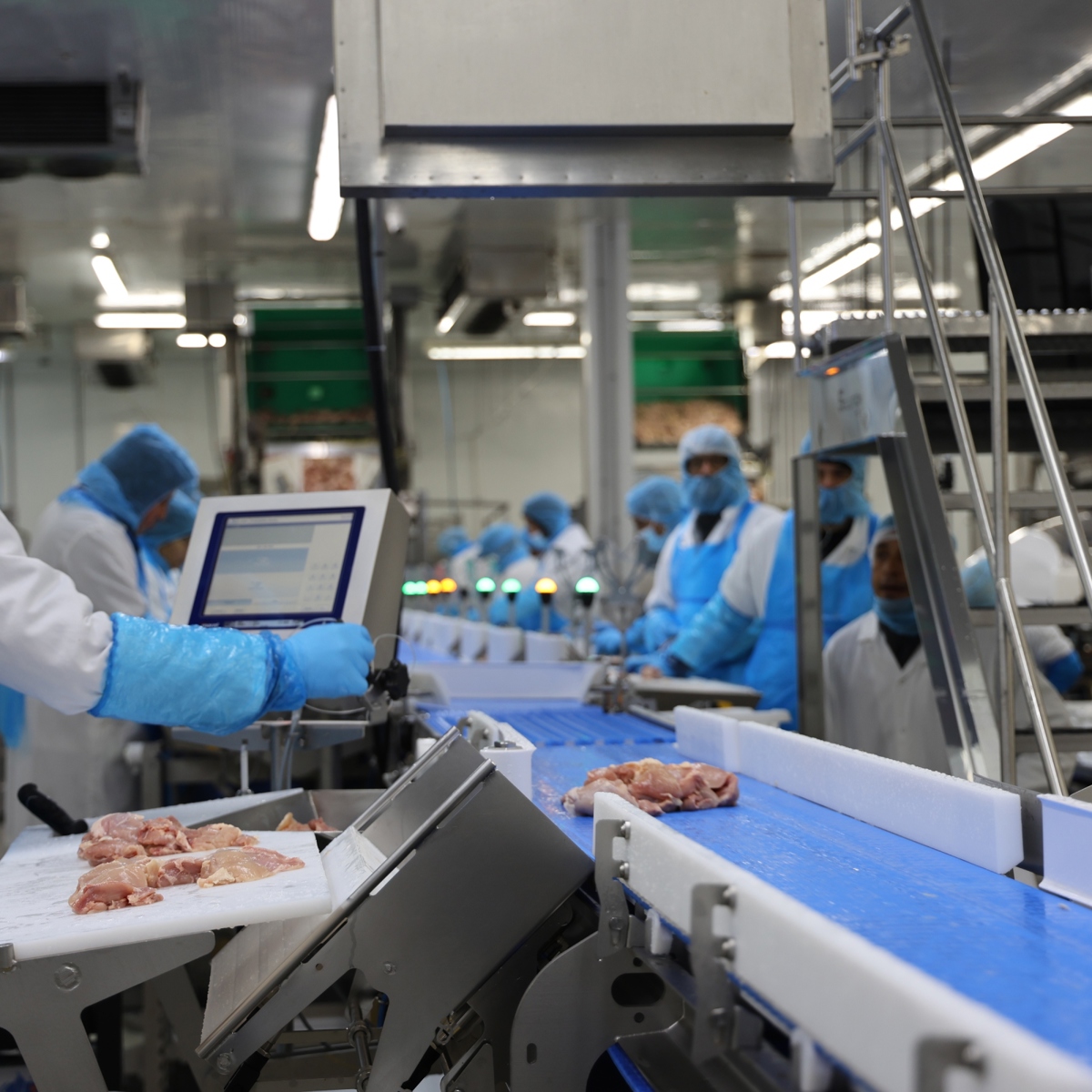 Central Bernard boosts productivity with Marel’s StreamLine and AXIN | Marel