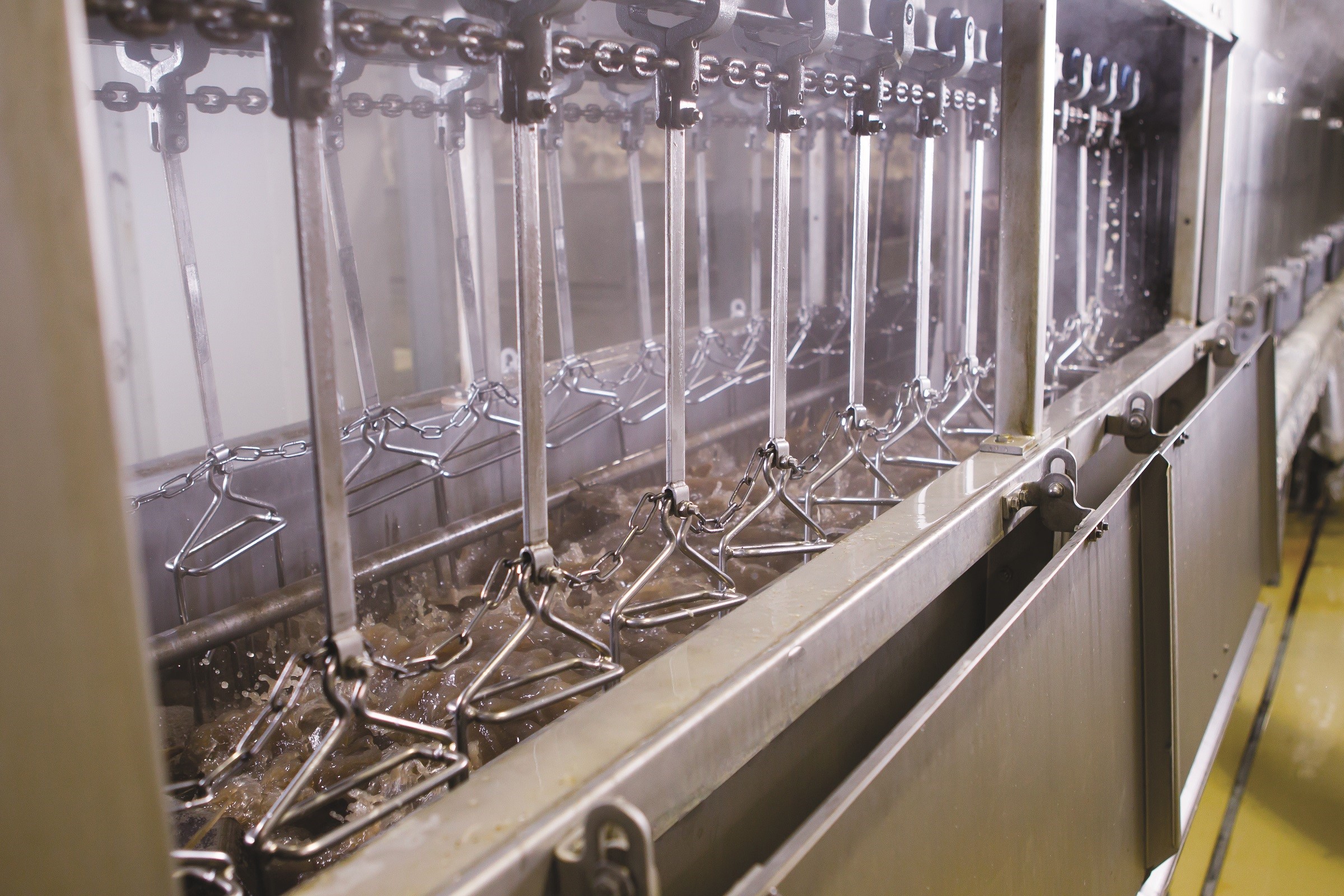 Pre-Scalder for ducks | Marel