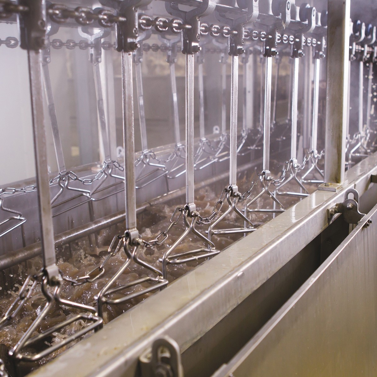 Immersion scalding system | Marel