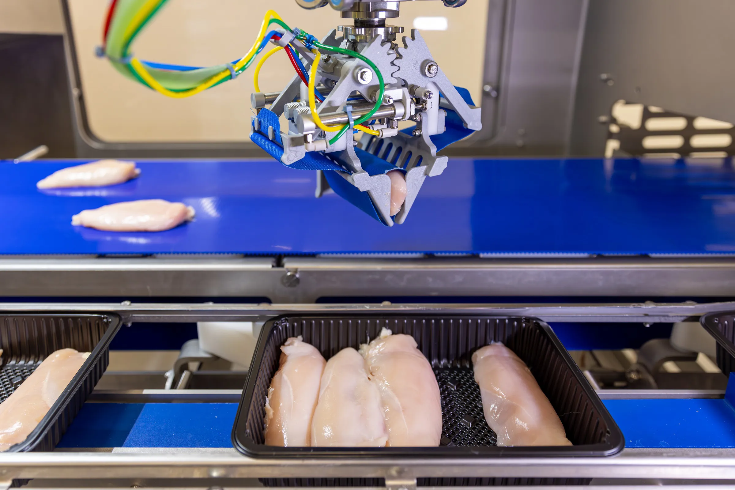 Robopacker automatiza el envasado de bandejas con peso variable | Marel