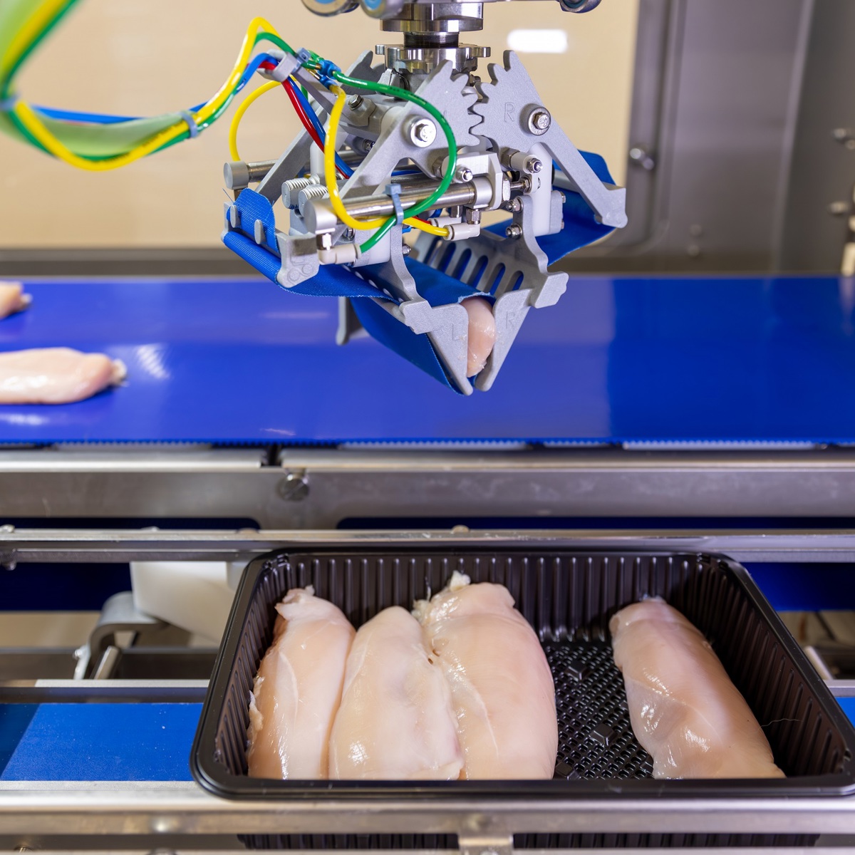 Le RoboPacker à haut rendement réduit les besoins en main-d'œuvre | Marel