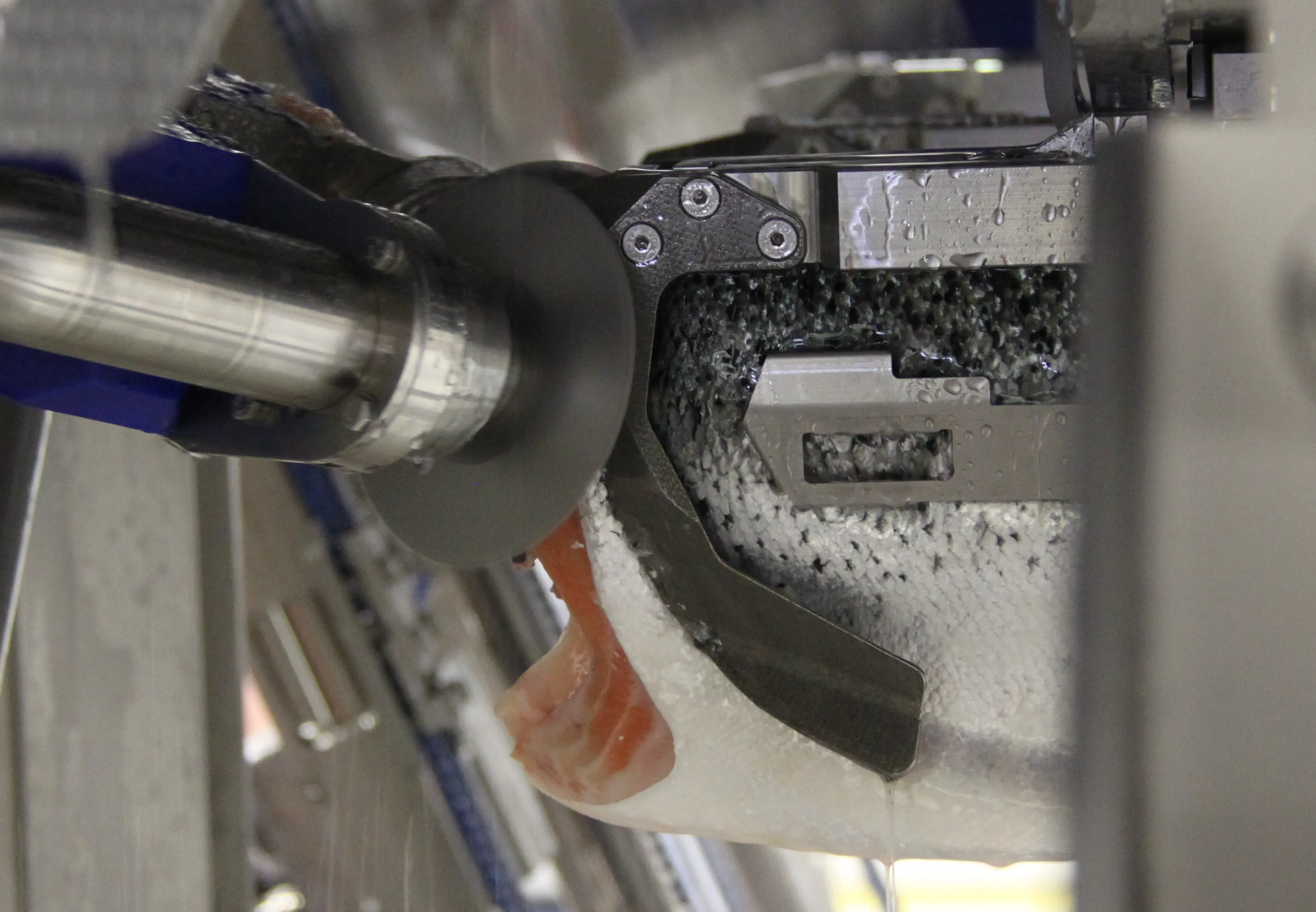 Salmon Deheader MS 2721 V | Marel