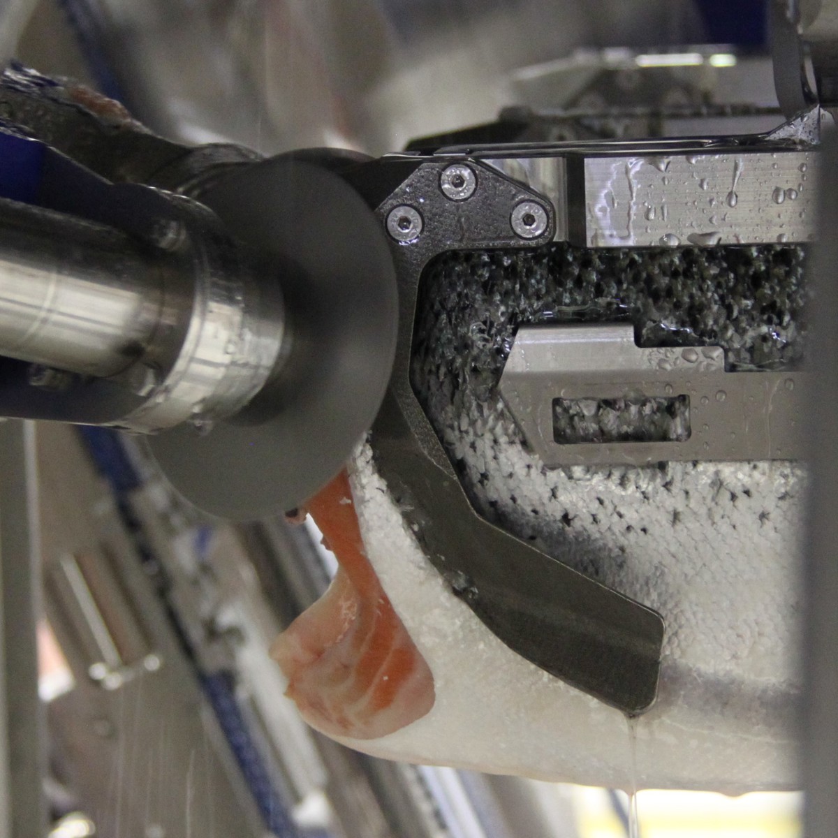 Salmon Deheader MS 2721 V | Marel