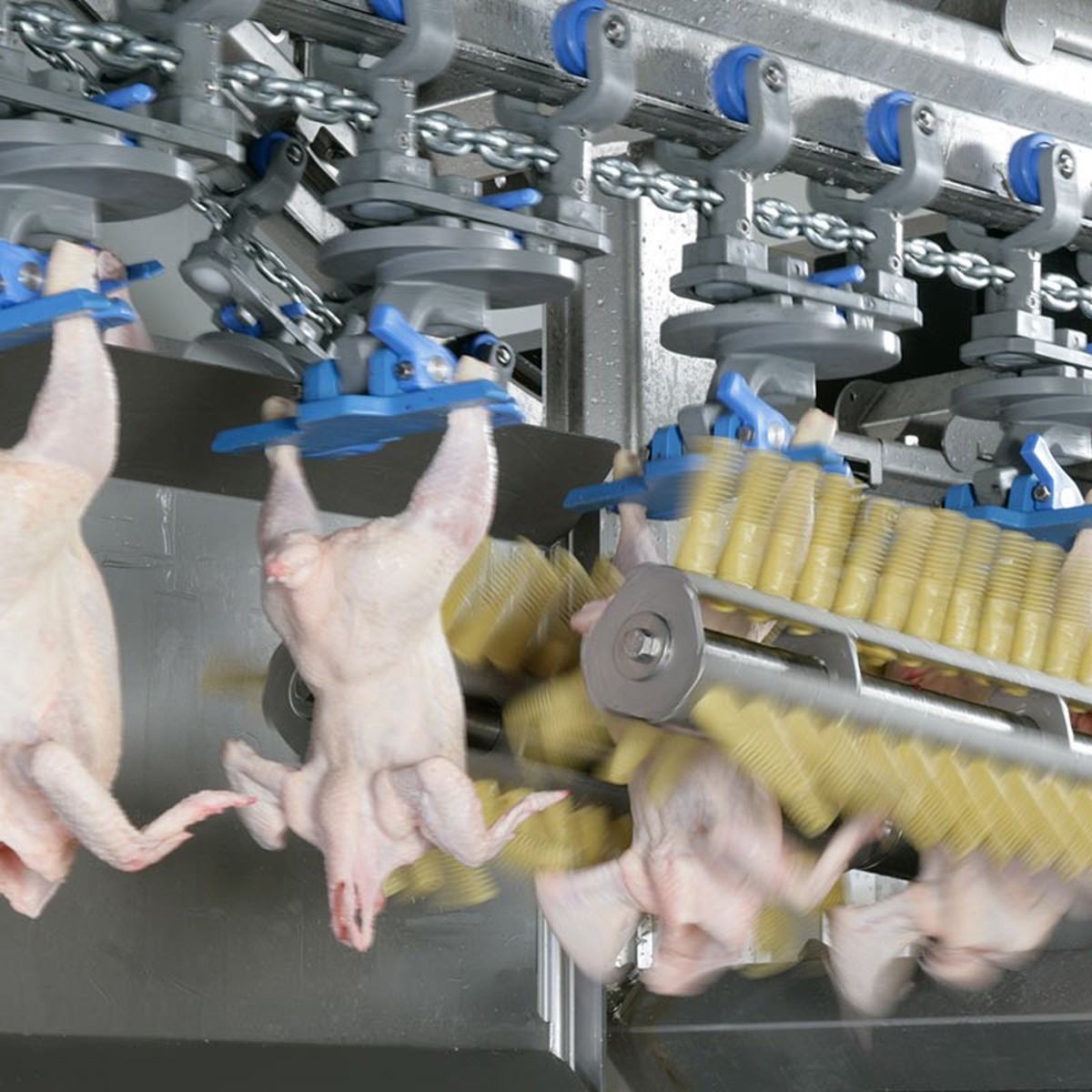 Wing Stretching Module | Marel