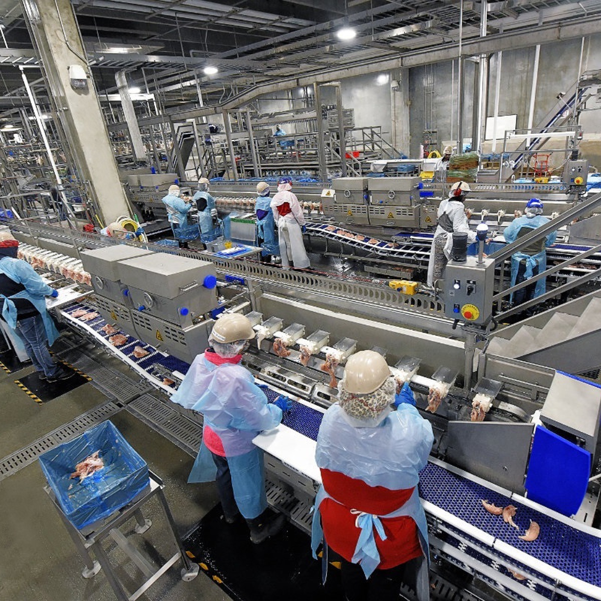 6 compelling reasons for breast deboning with AMF-i | Marel