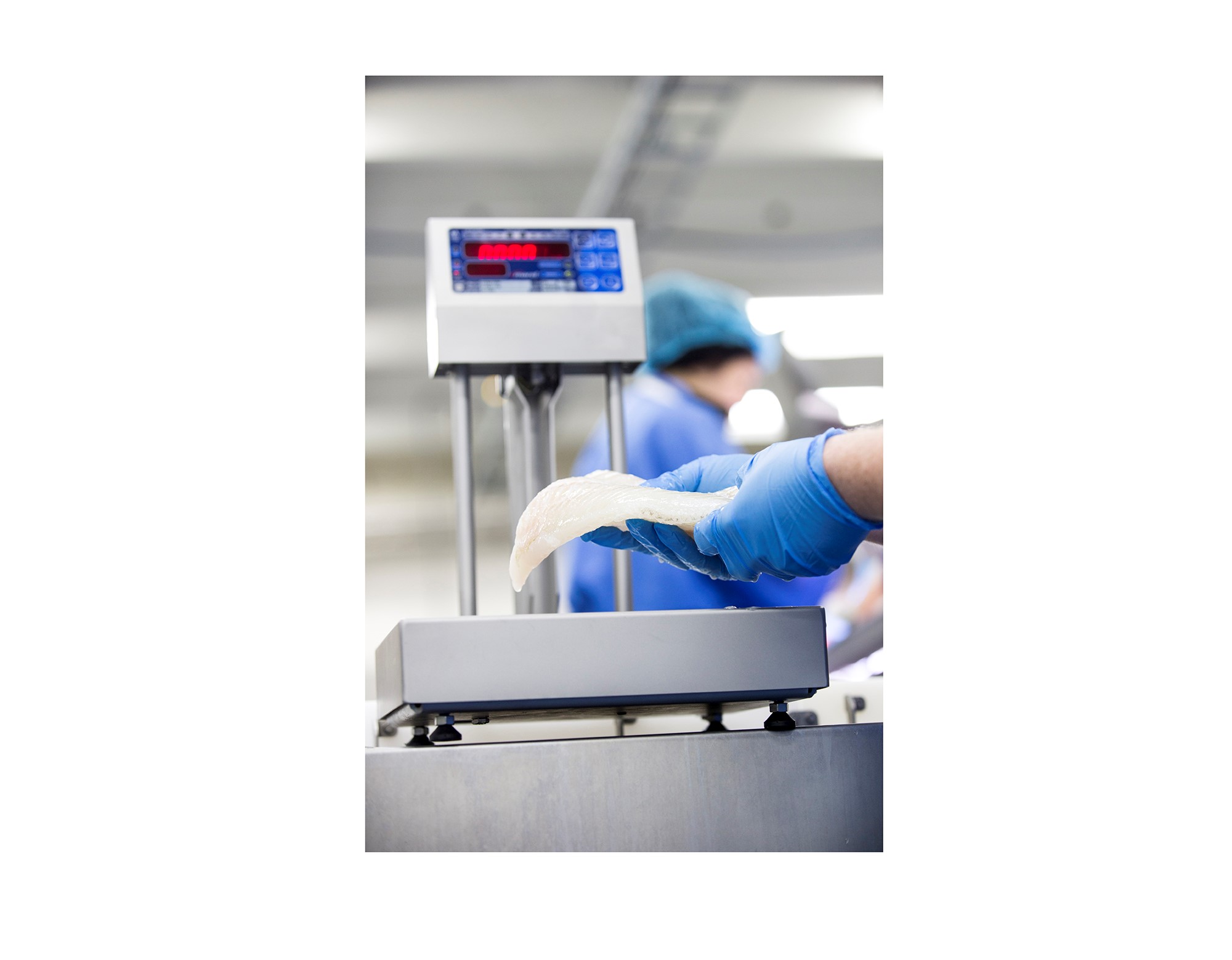 Vietnam Fisheries International Exhibition | Marel