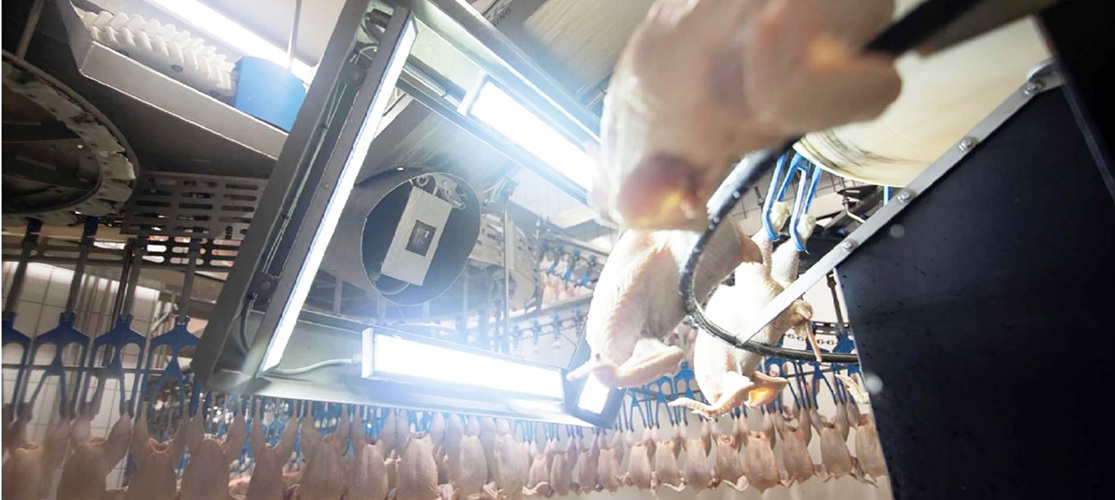 Matching supply and demand using early data collection | Marel