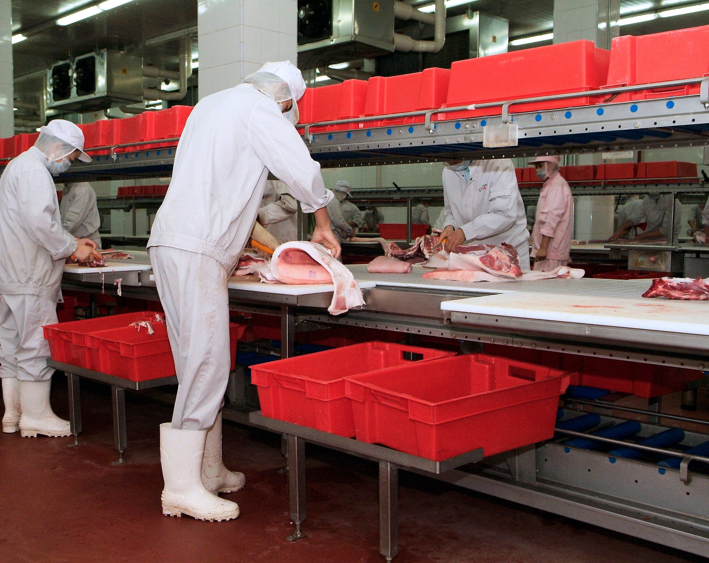 PaceLine (Cattle) | Marel