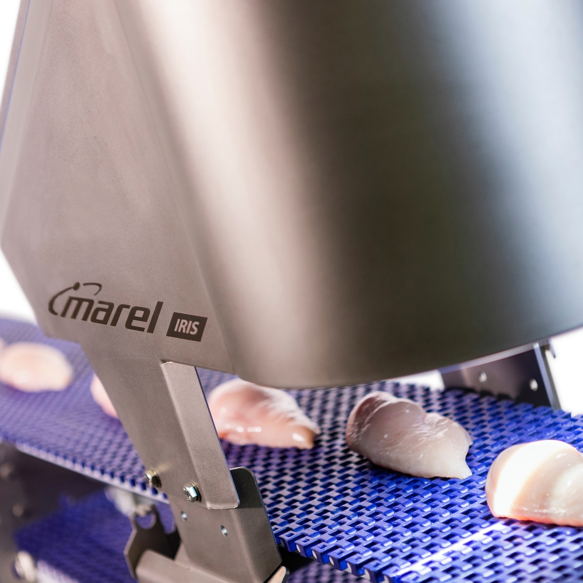 Inspección de productos en una cinta transportadora | Marel