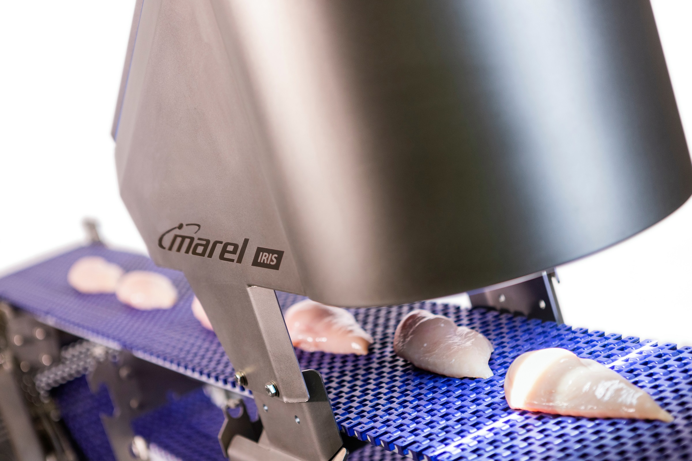 IRIS FI - In-line visual inspection of breast fillet quality | Marel