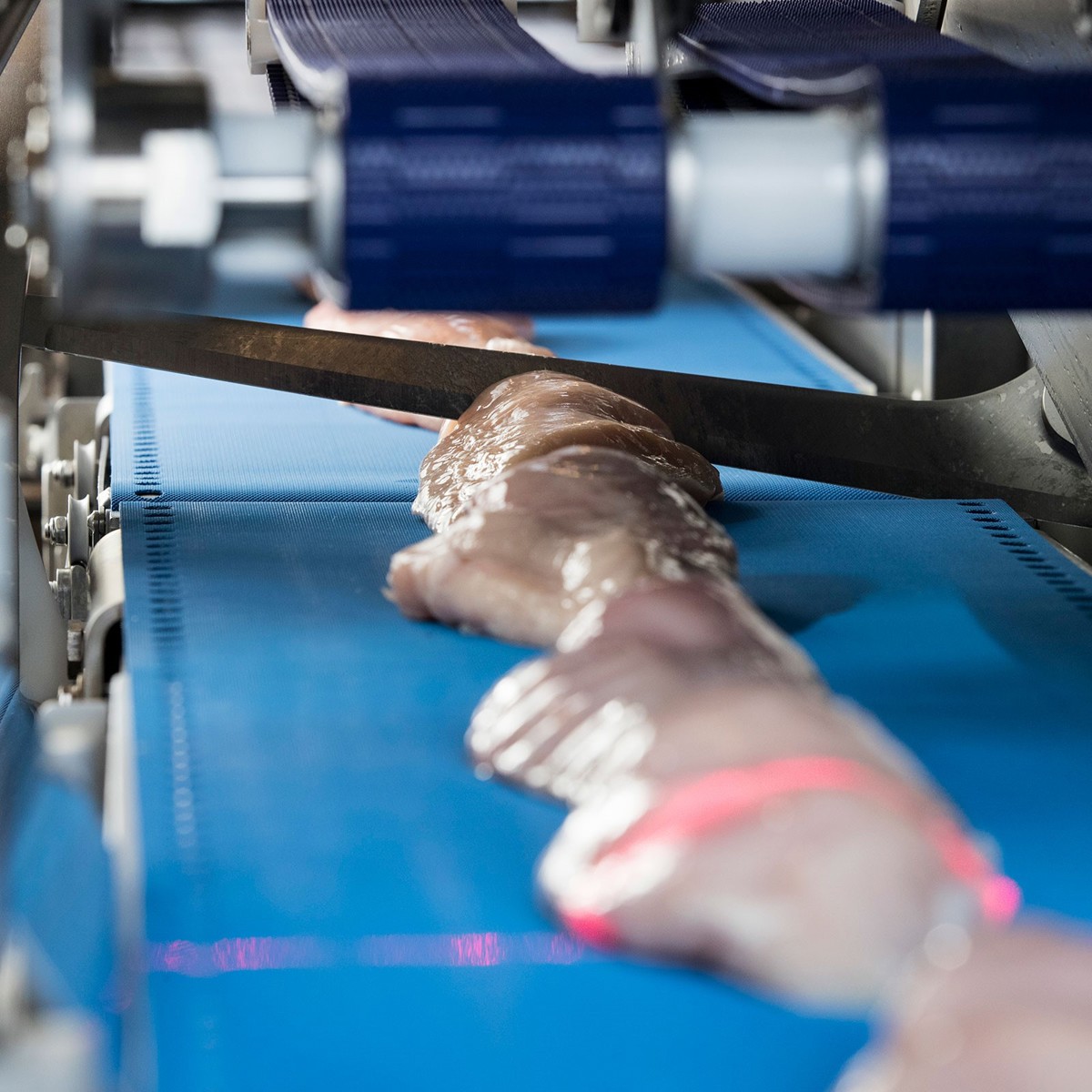 Portioning with added value | Marel