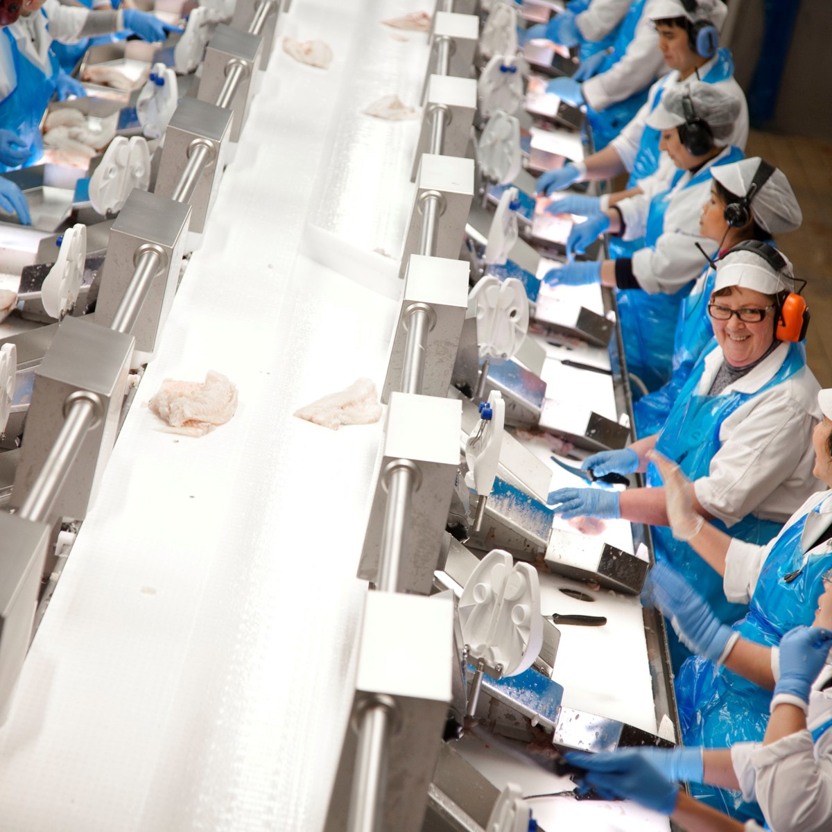 Secondary processing | Marel - Optimizing fish production | Marel