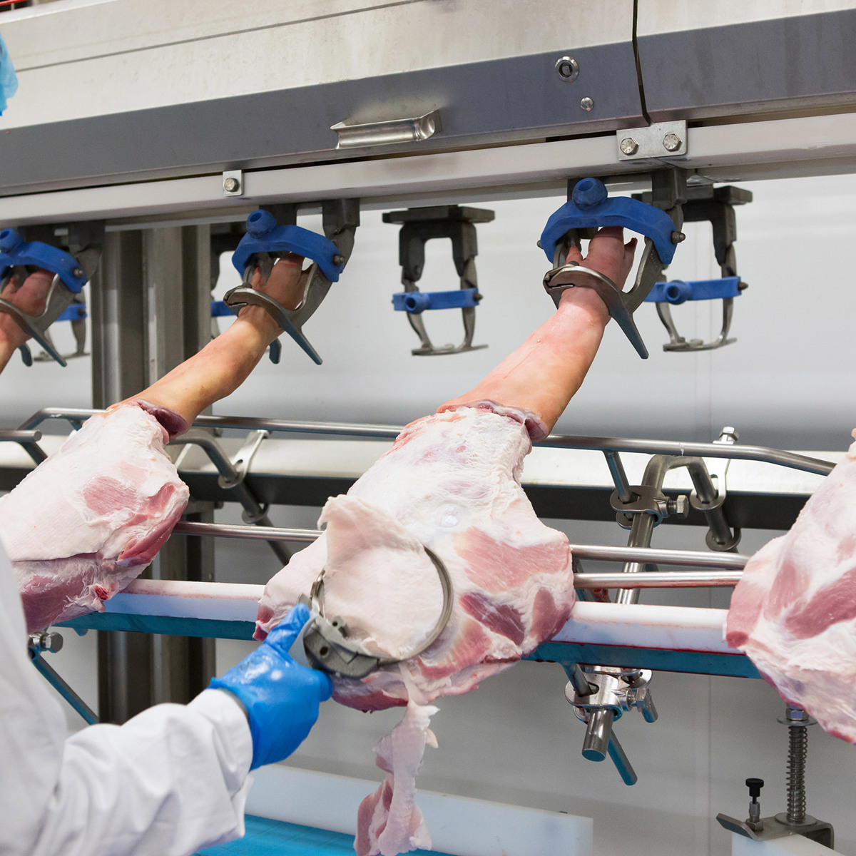 Embracing innovation: the top 5 trends shaping pork cutting and ...