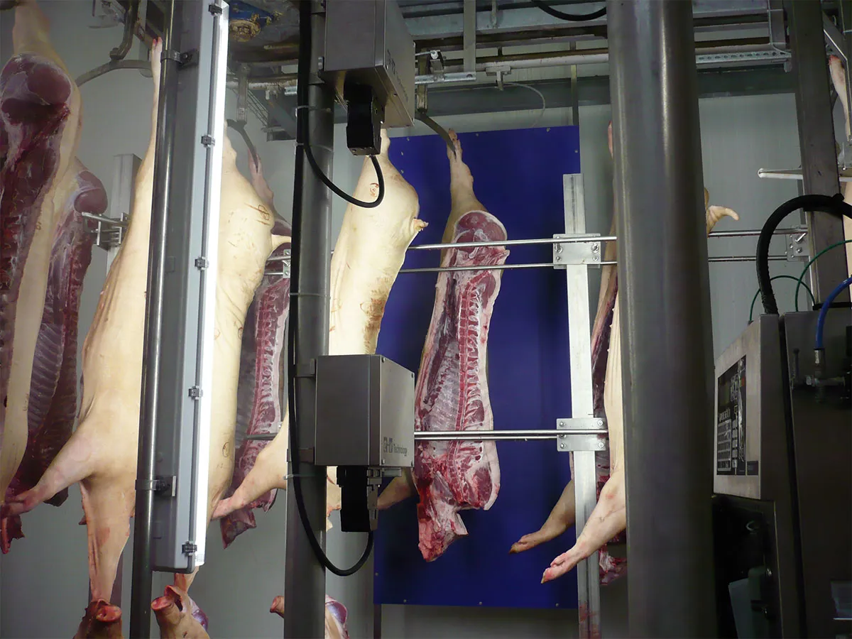 AuraVCS (VCS 2000) pork carcass grading | Marel
