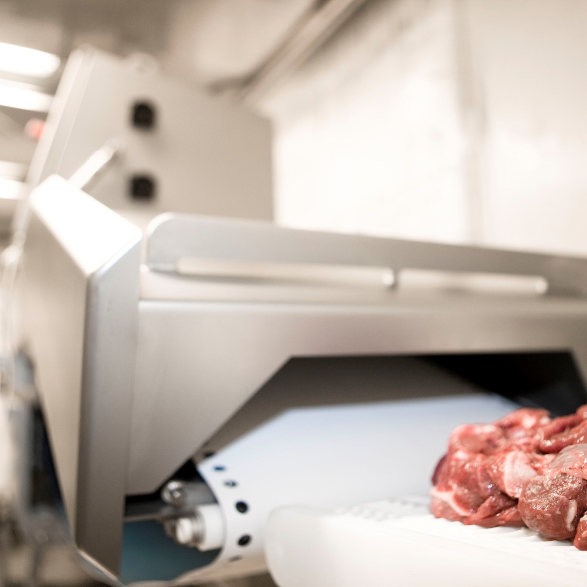 Inspection | sausage processing | Marel