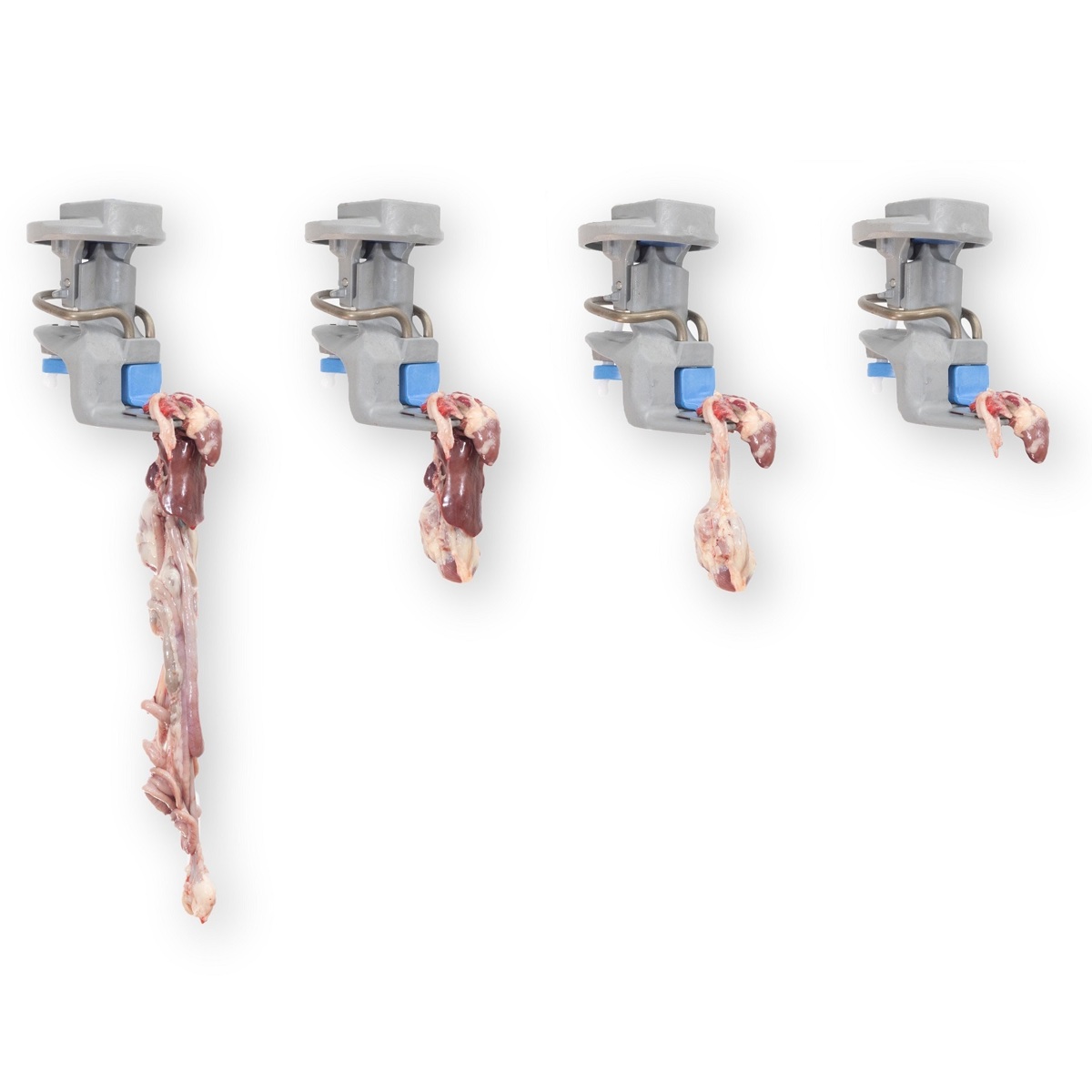 Giblet processing solutions for the poultry industry | Marel