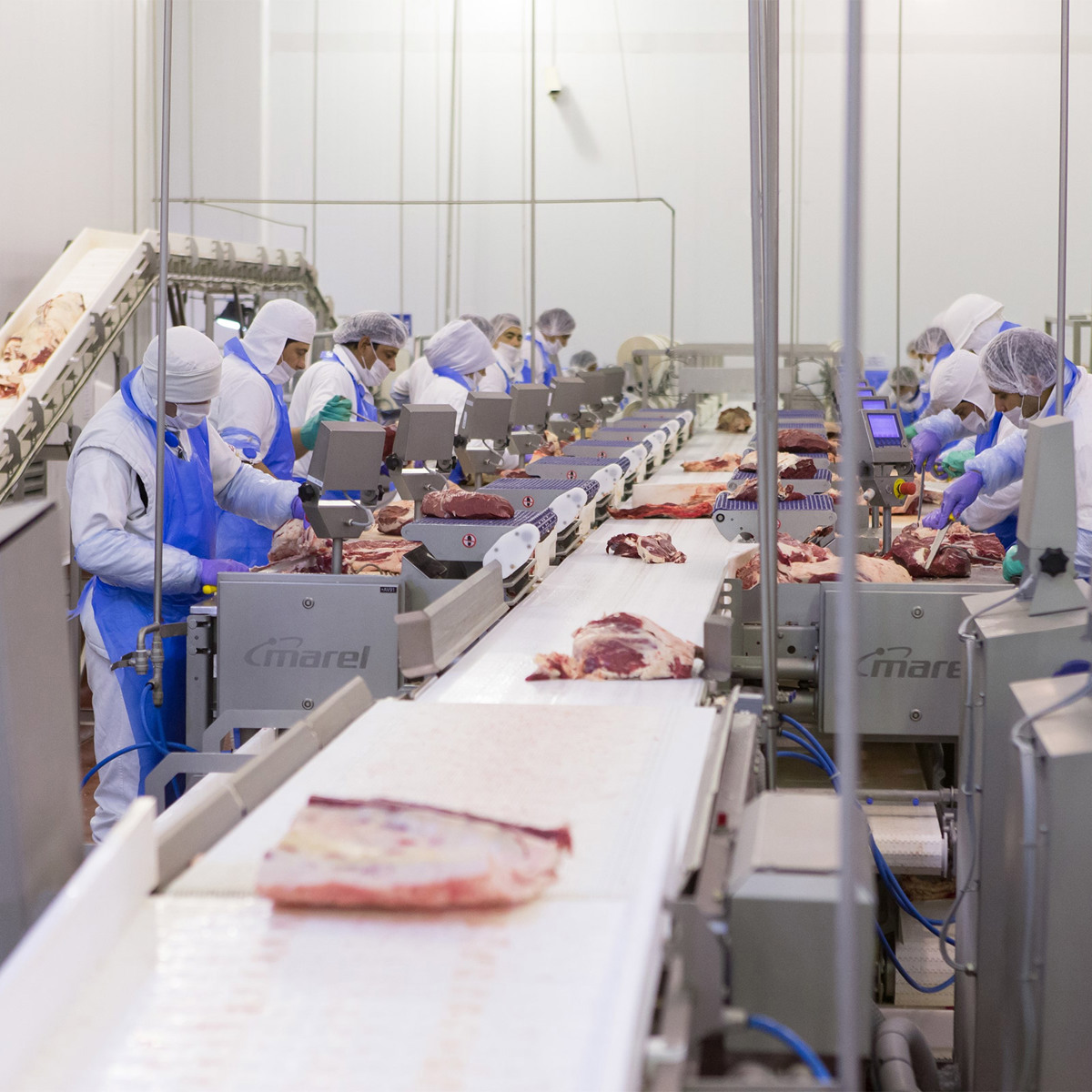 Entbeinung und Zuschnitt mit StreamLine (Rind) | Marel